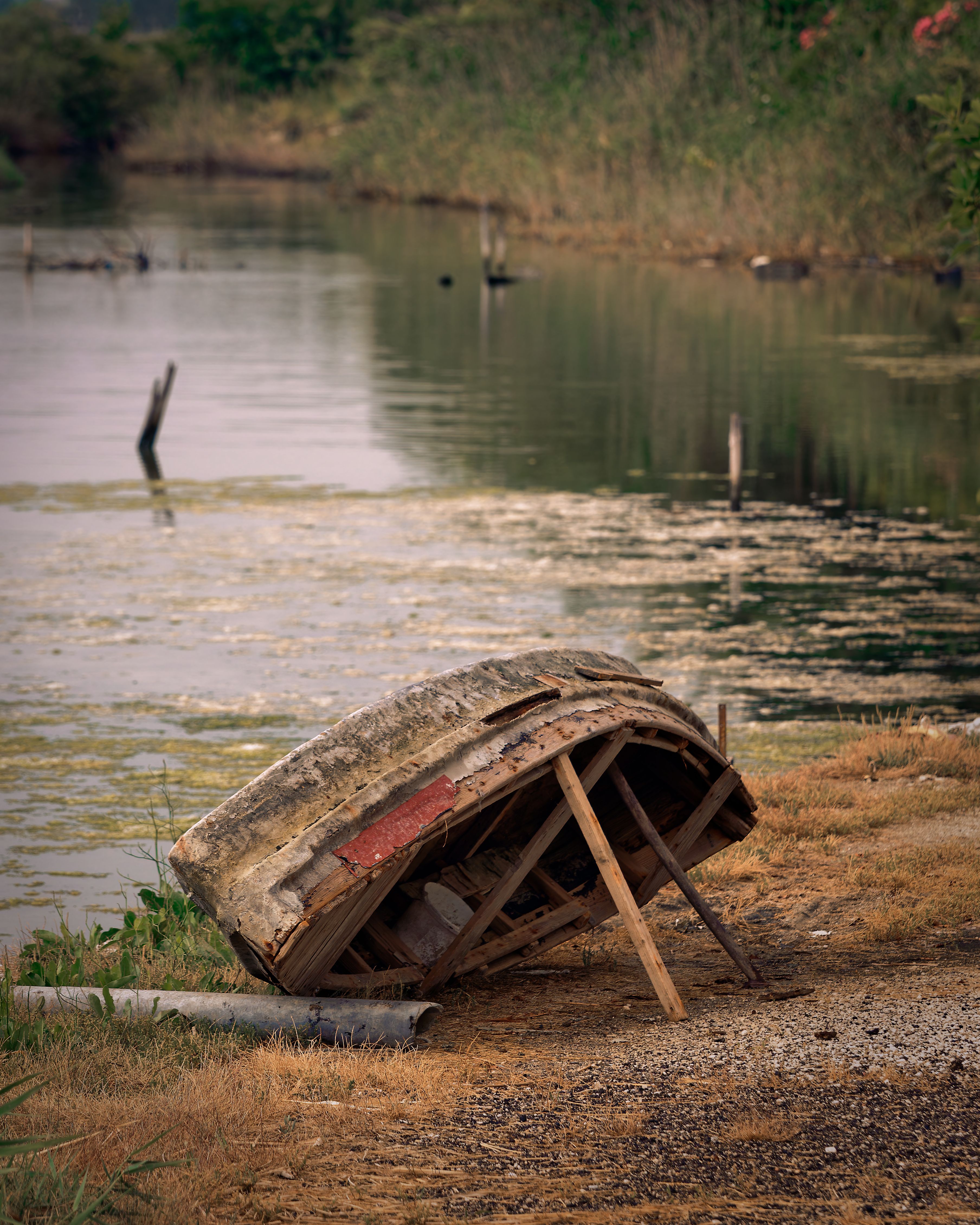 Wrecked Boats Deteriorating on a Lakeshore · Free Stock Photo