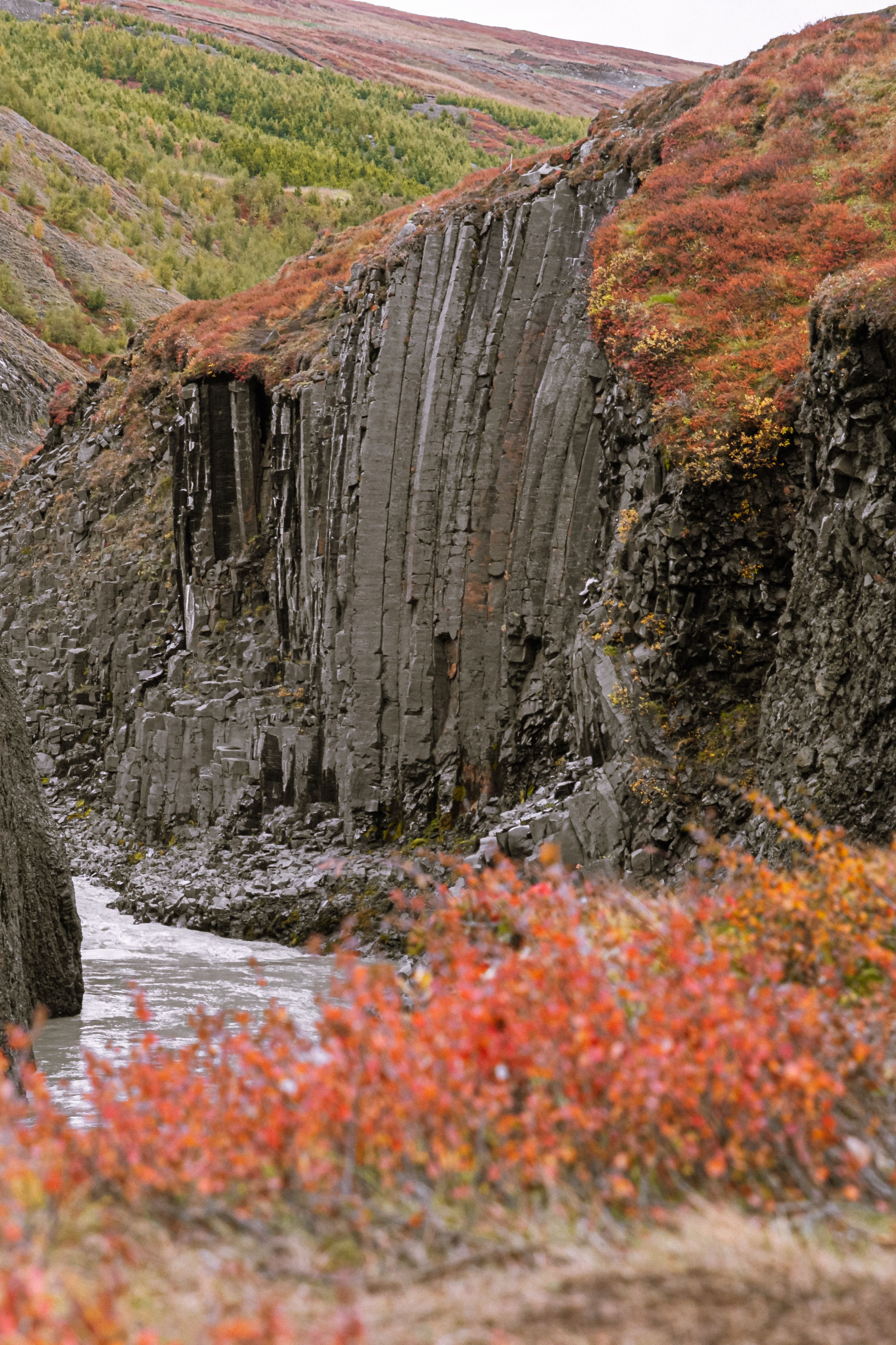 River Along Cliff in Autumn · Free Stock Photo