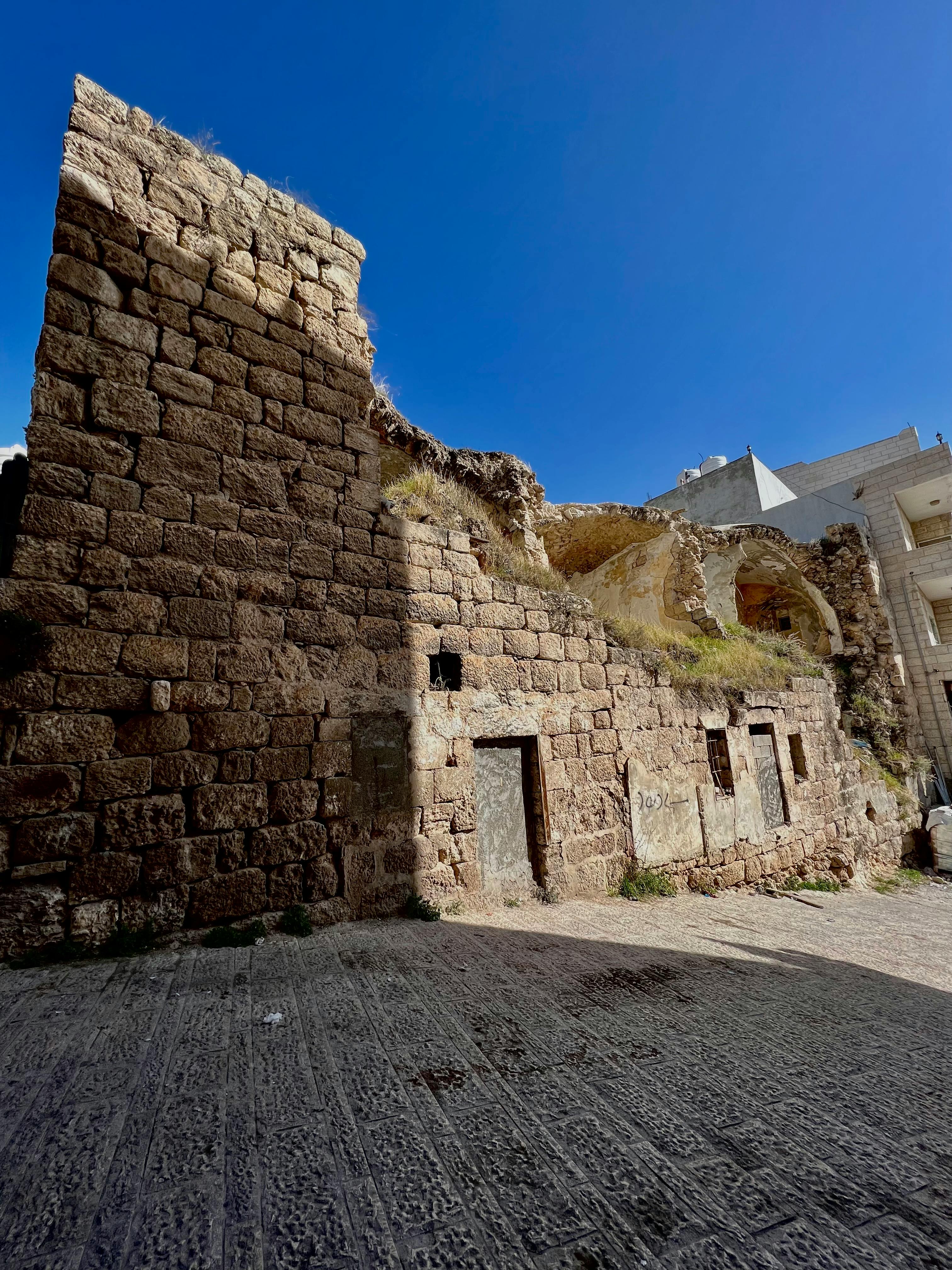 Qamar Ammouri - 摄影