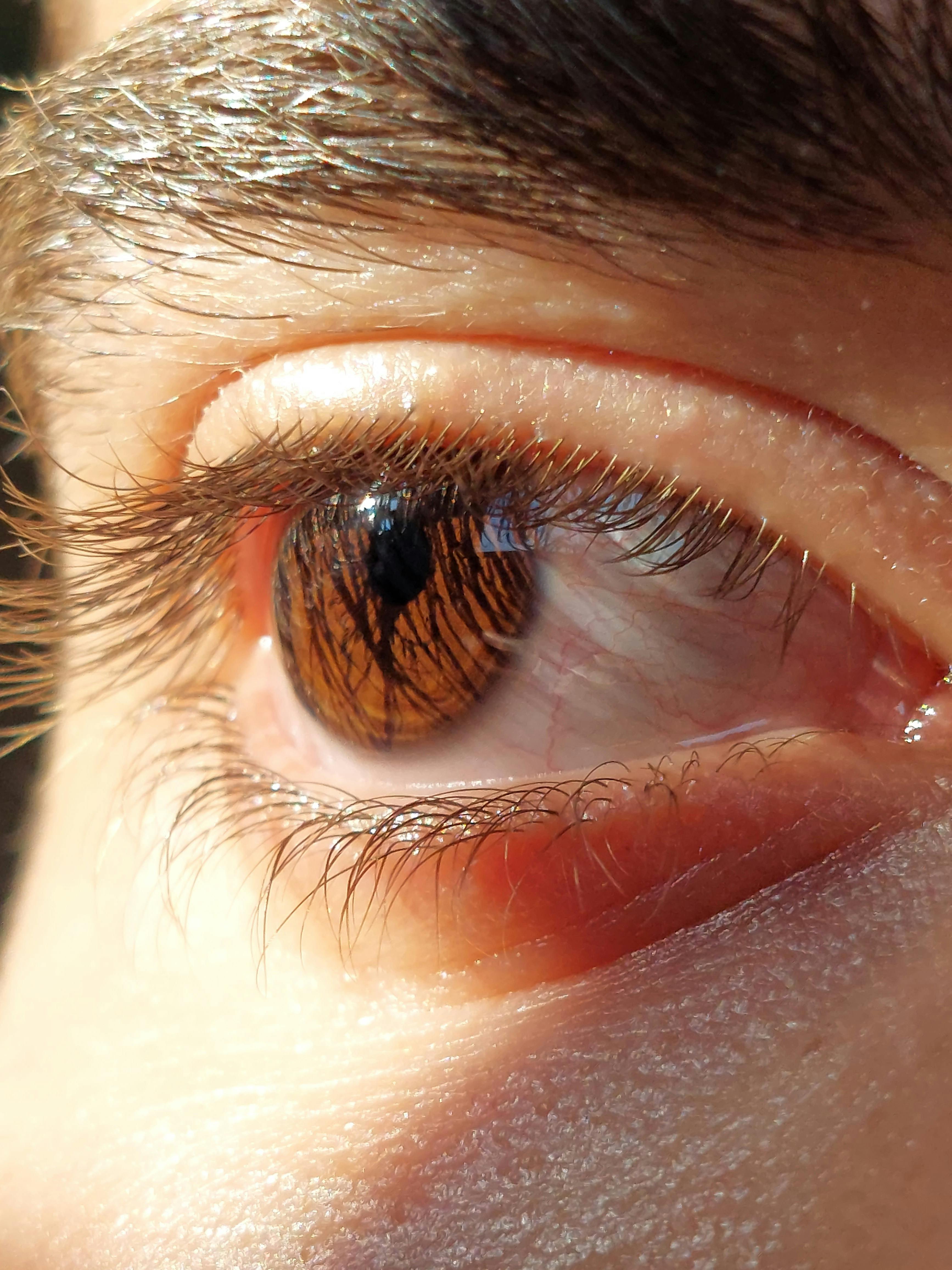 Close up of a Sunlit Eye · Free Stock Photo