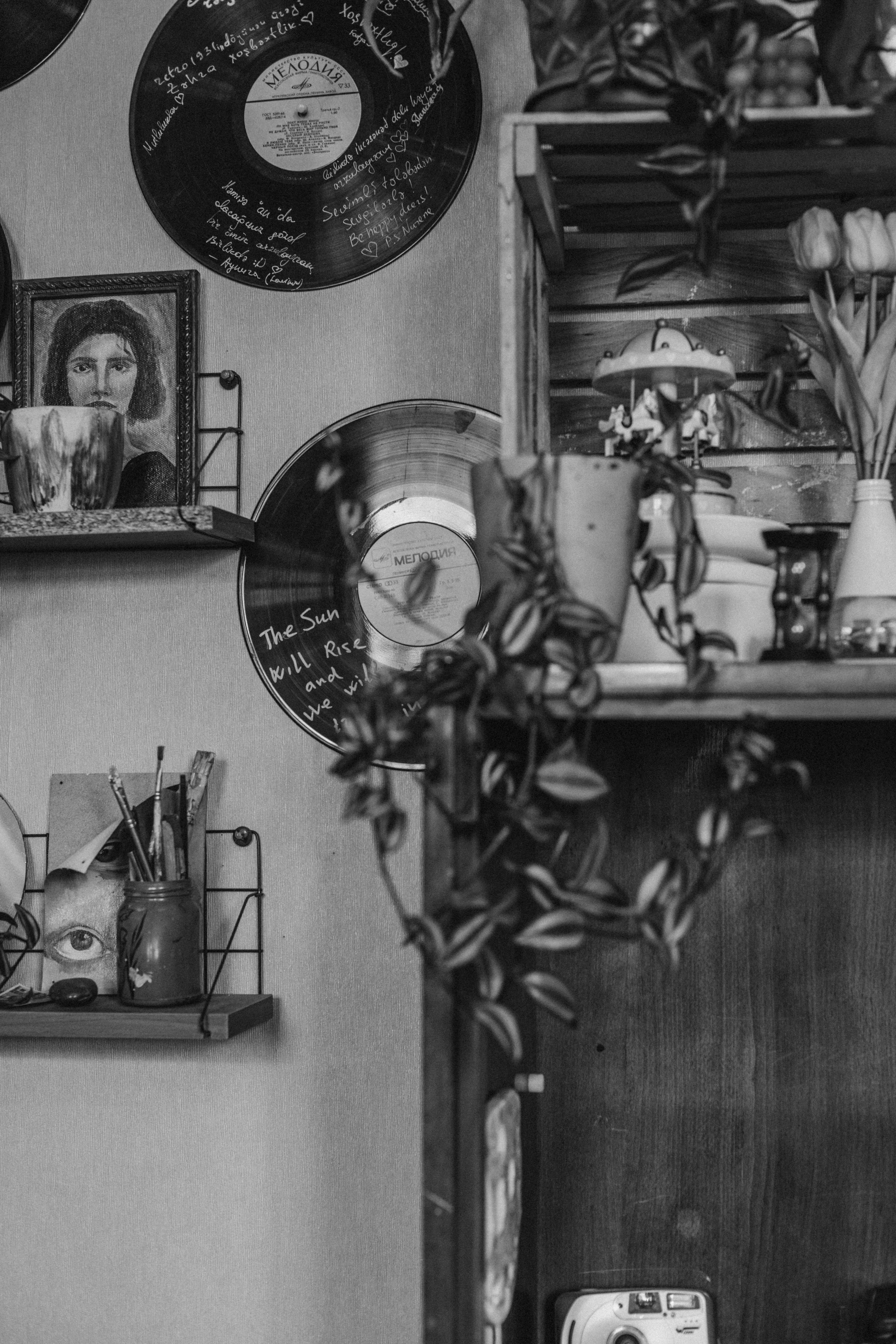 Vinyl Plates in Home Interior · Free Stock Photo