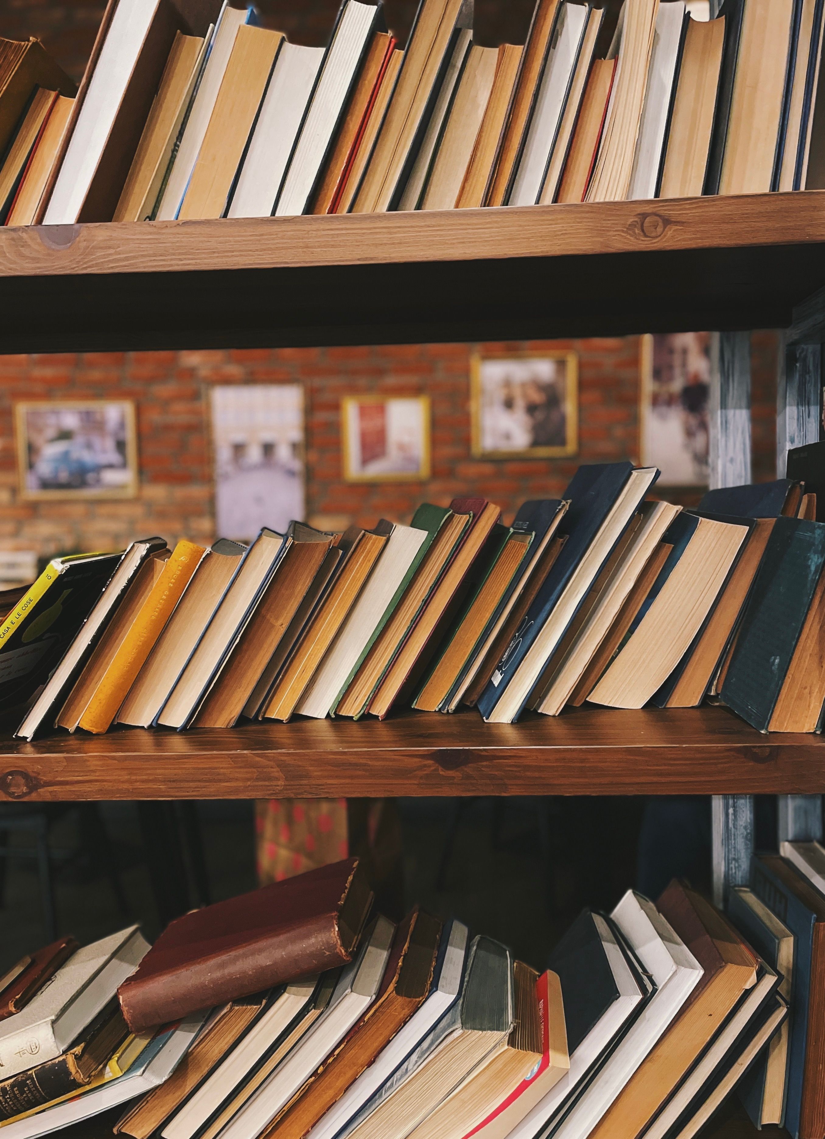 Books on Shelves · Free Stock Photo