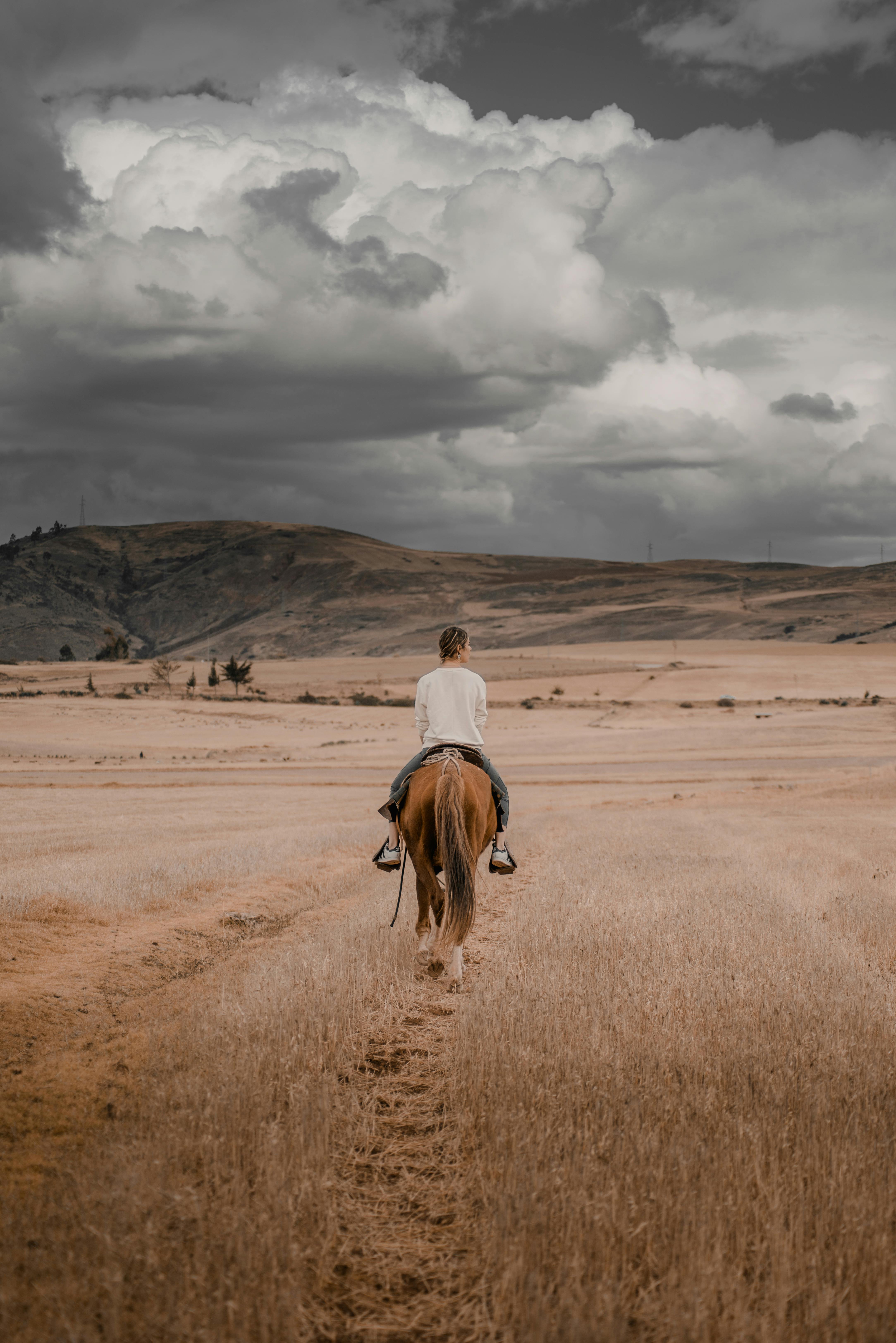 Back View of a Woman Horseback Riding on a Field under a Cloudy Sky ...