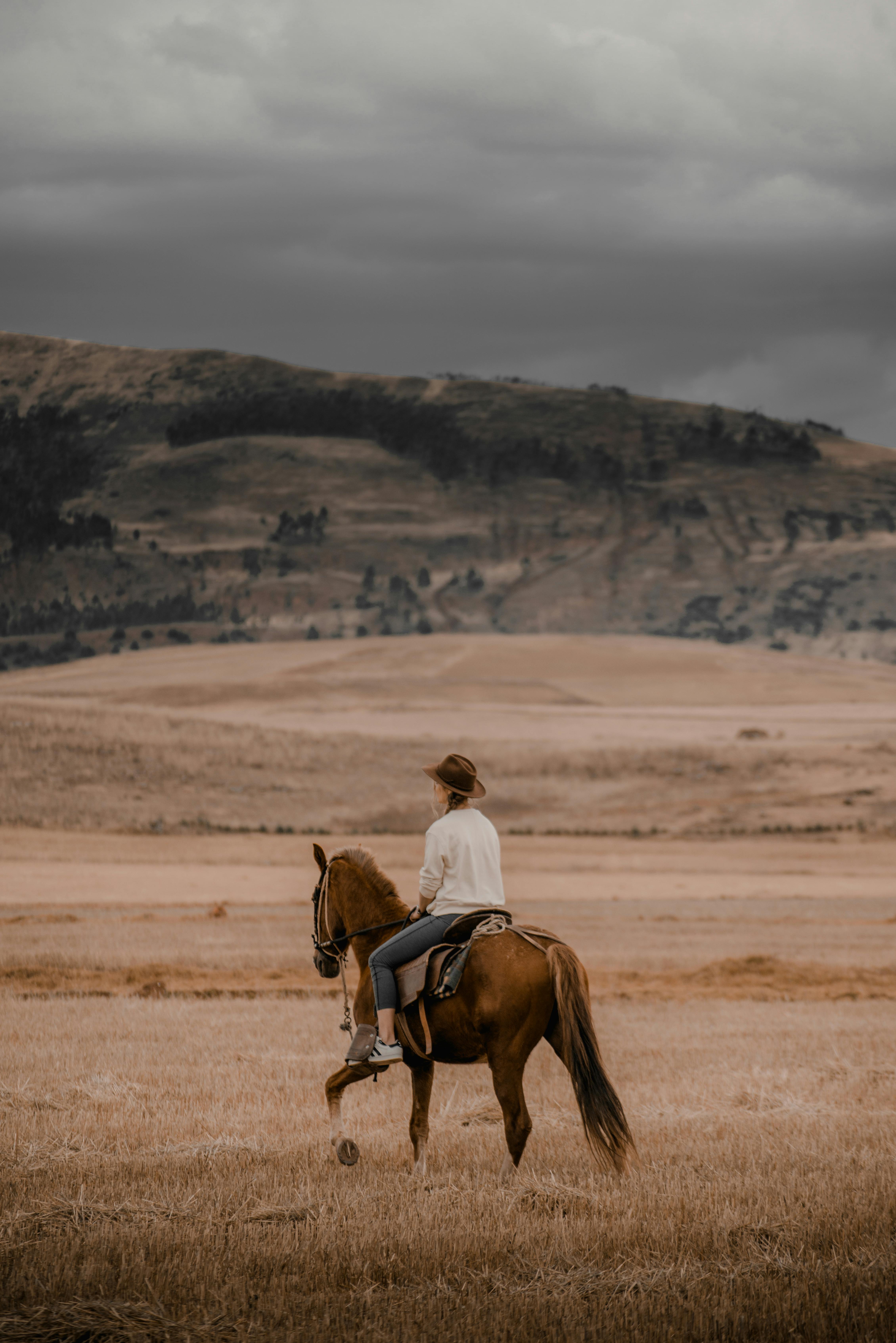 Woman Horseback Riding on a Field in Mountains · Free Stock Photo