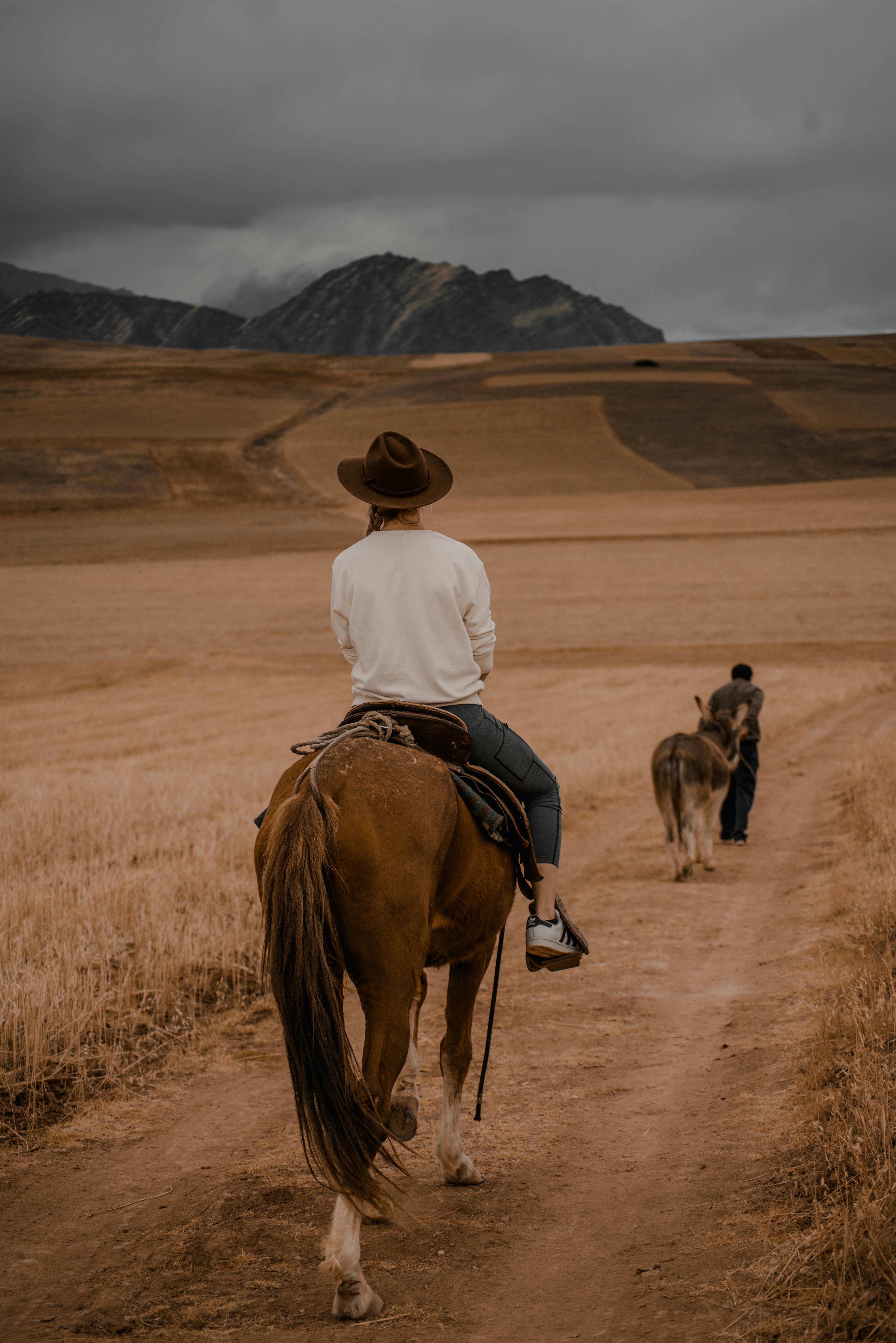 Person Riding Horse · Free Stock Photo