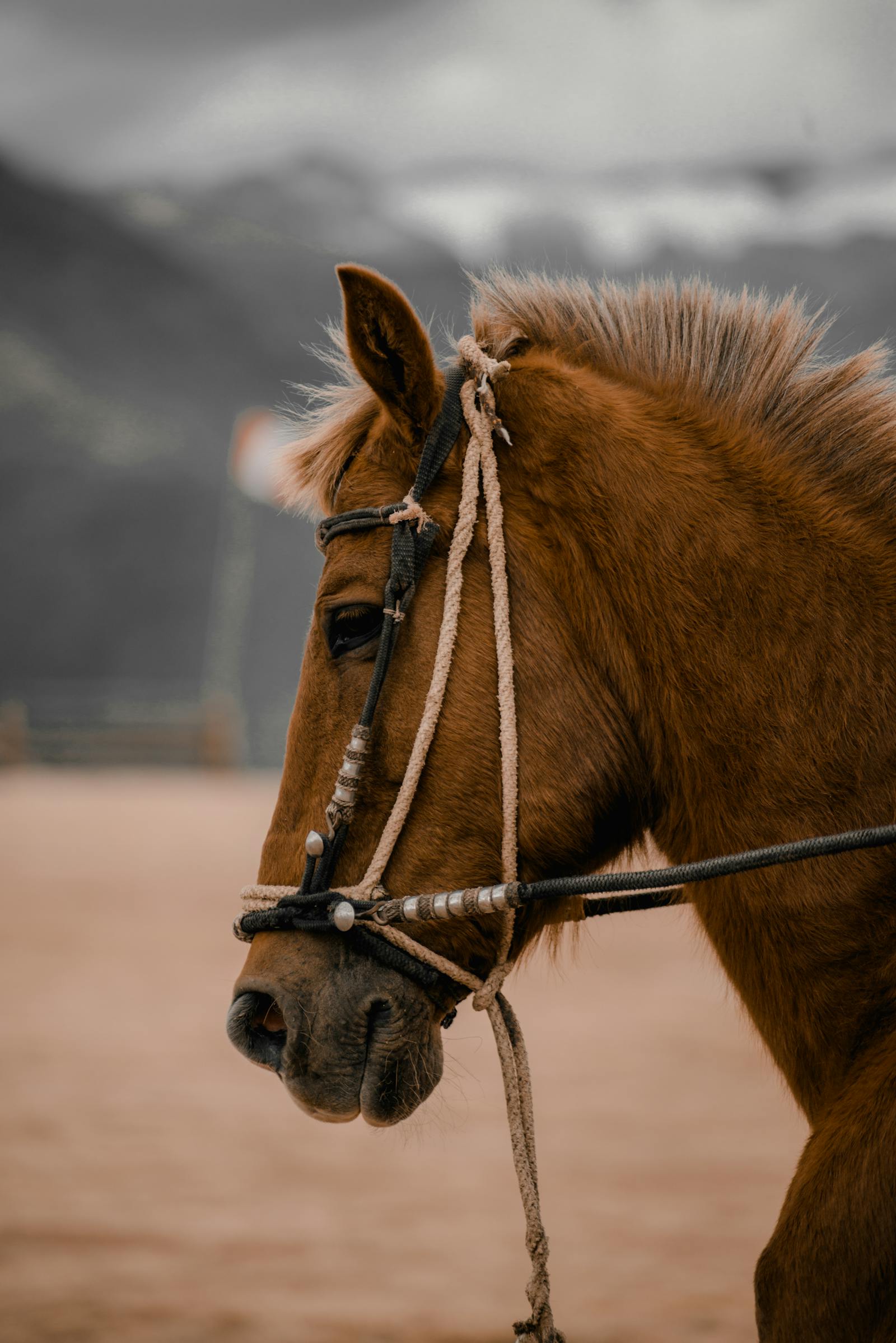 Youtube Profile Piture Photos, Download The BEST Free Youtube Profile ...