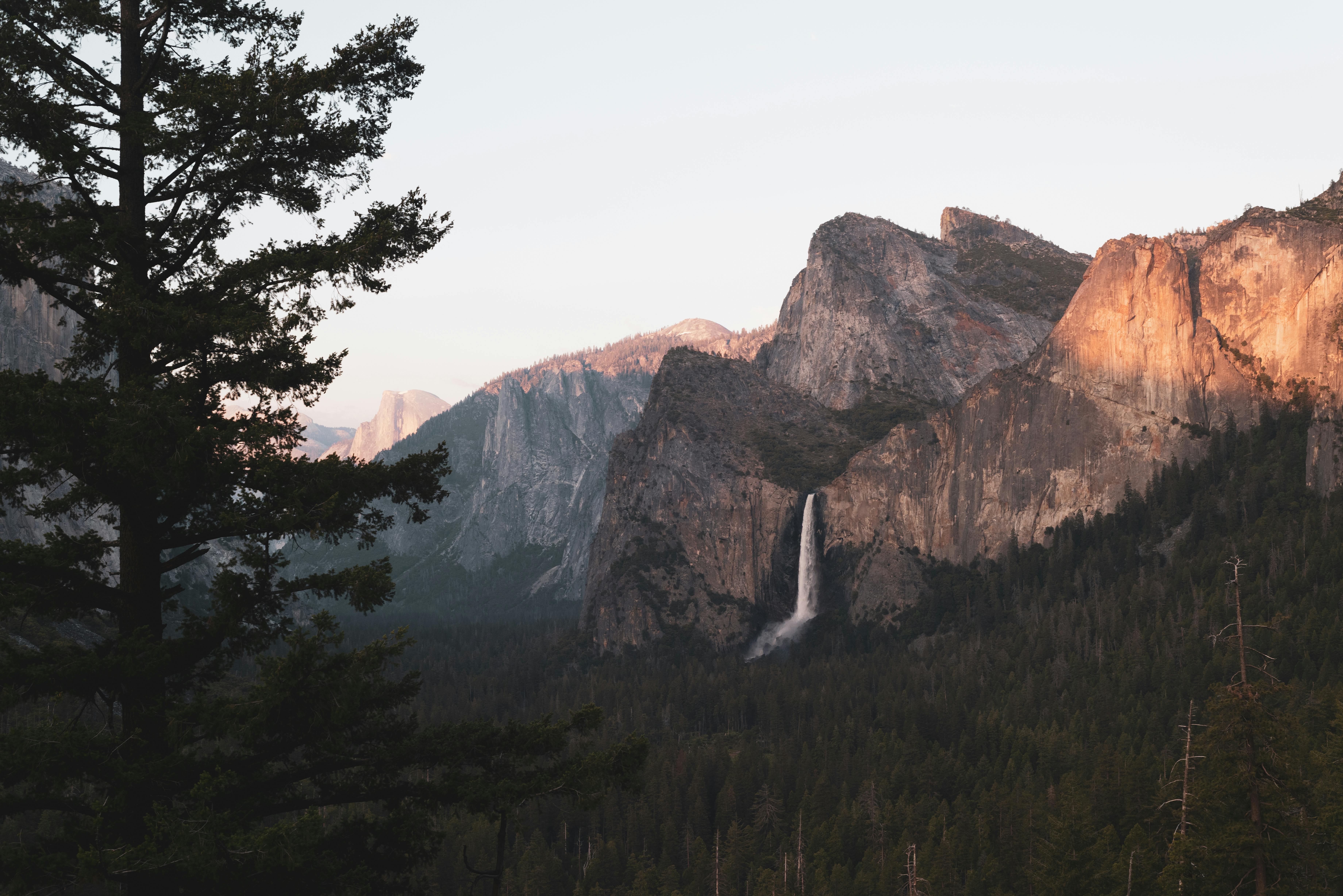 Forest in Valley among Rocky Mountains · Free Stock Photo