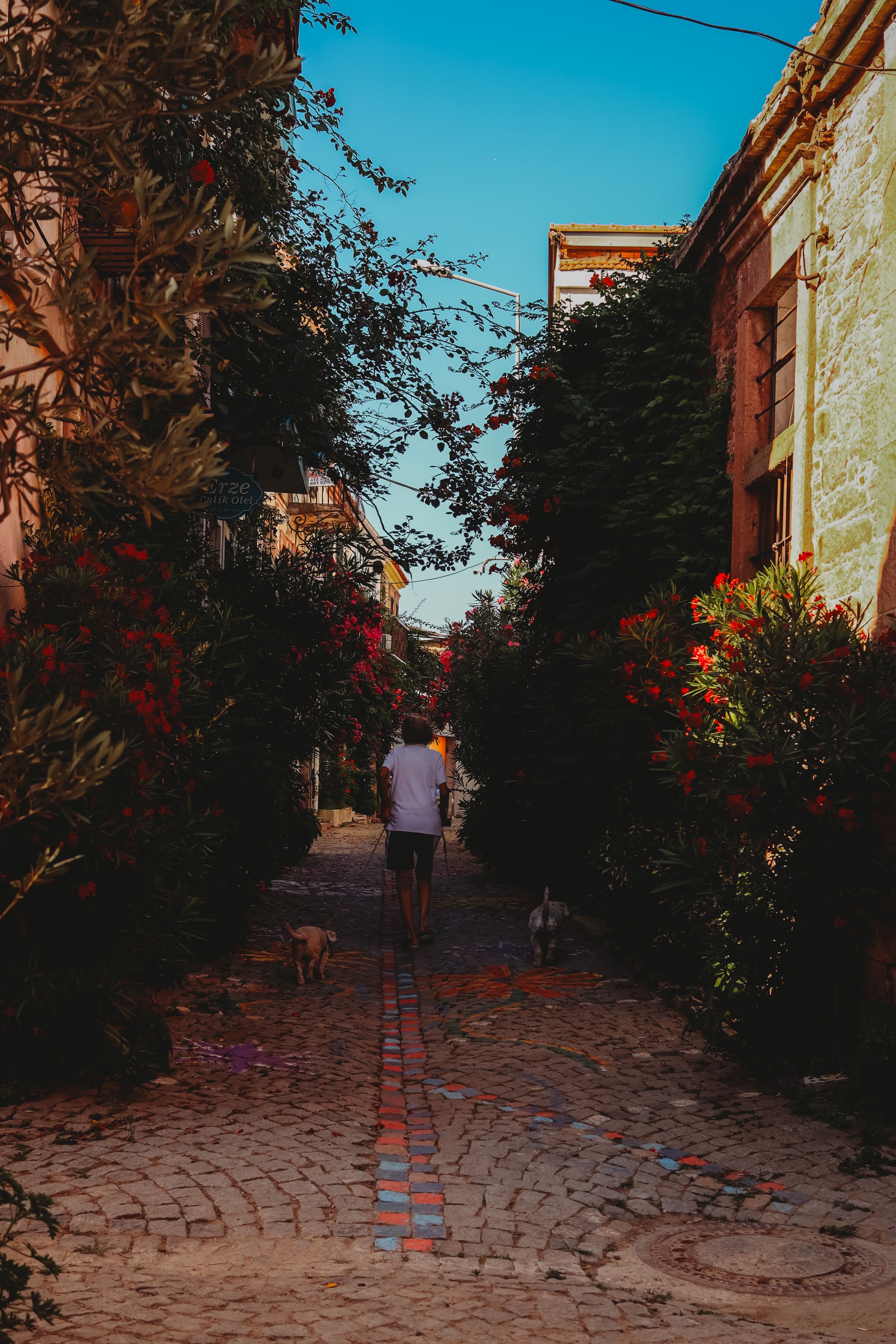 A person walking down a narrow alleyway · Free Stock Photo