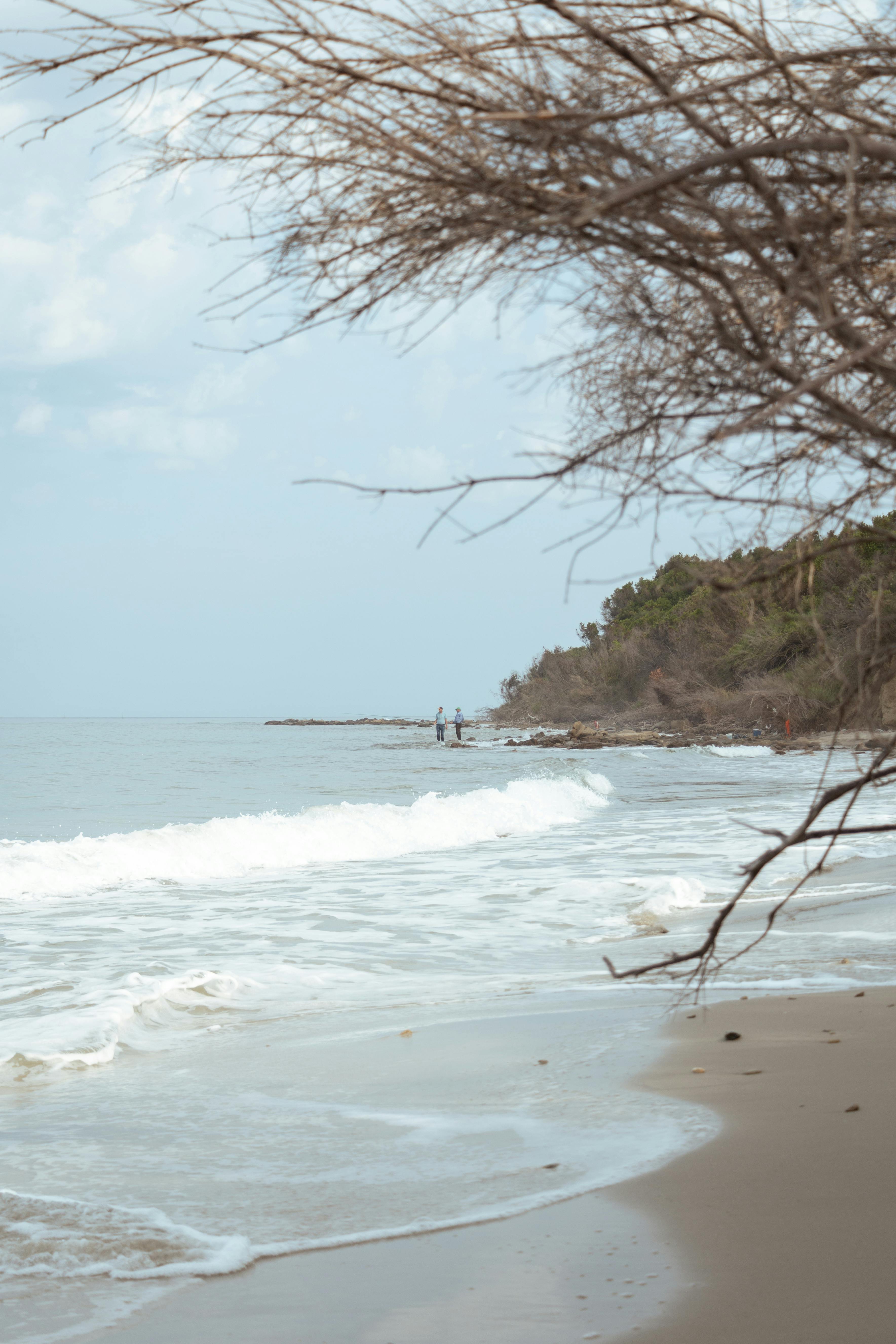 Wave Vector Photos, Download The BEST Free Wave Vector Stock Photos ...