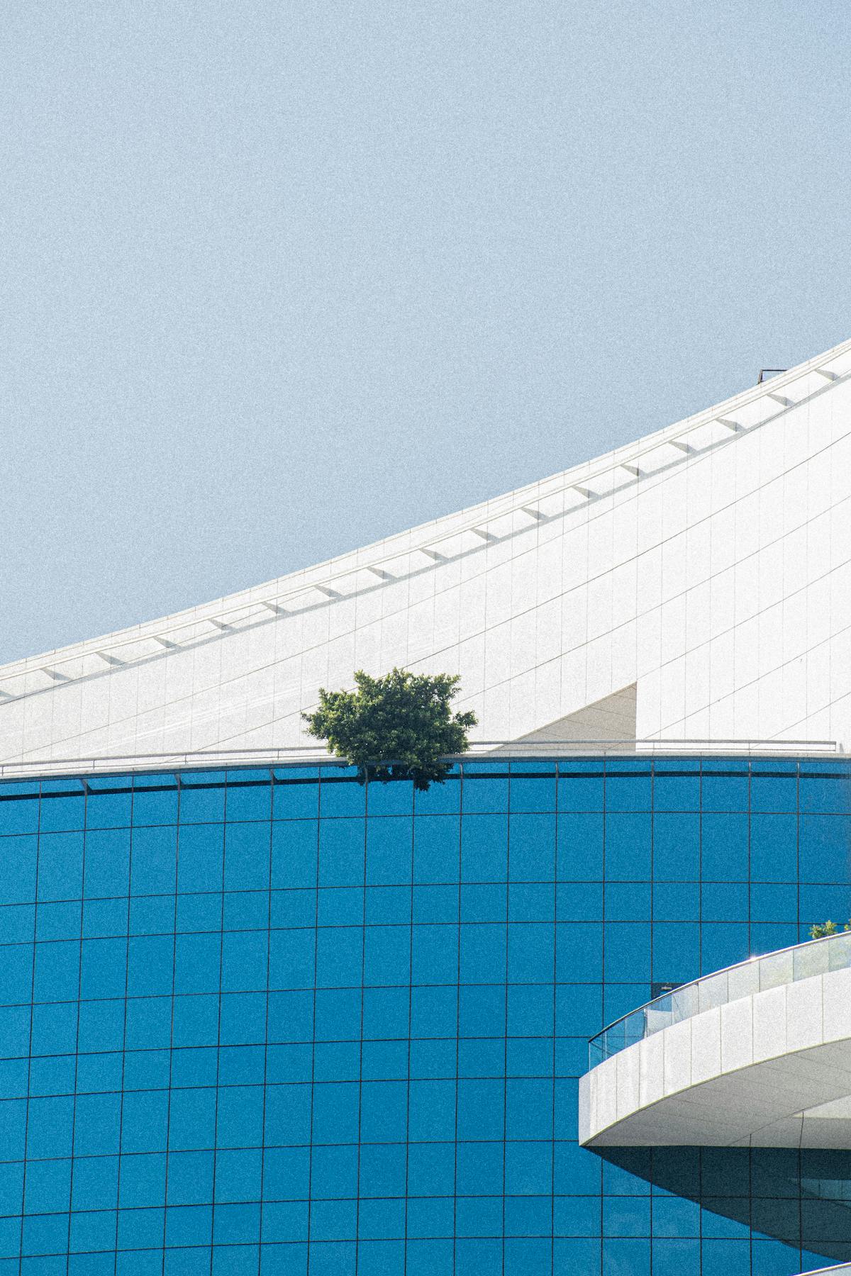 White And Blue Building Photos, Download The BEST Free White And Blue ...