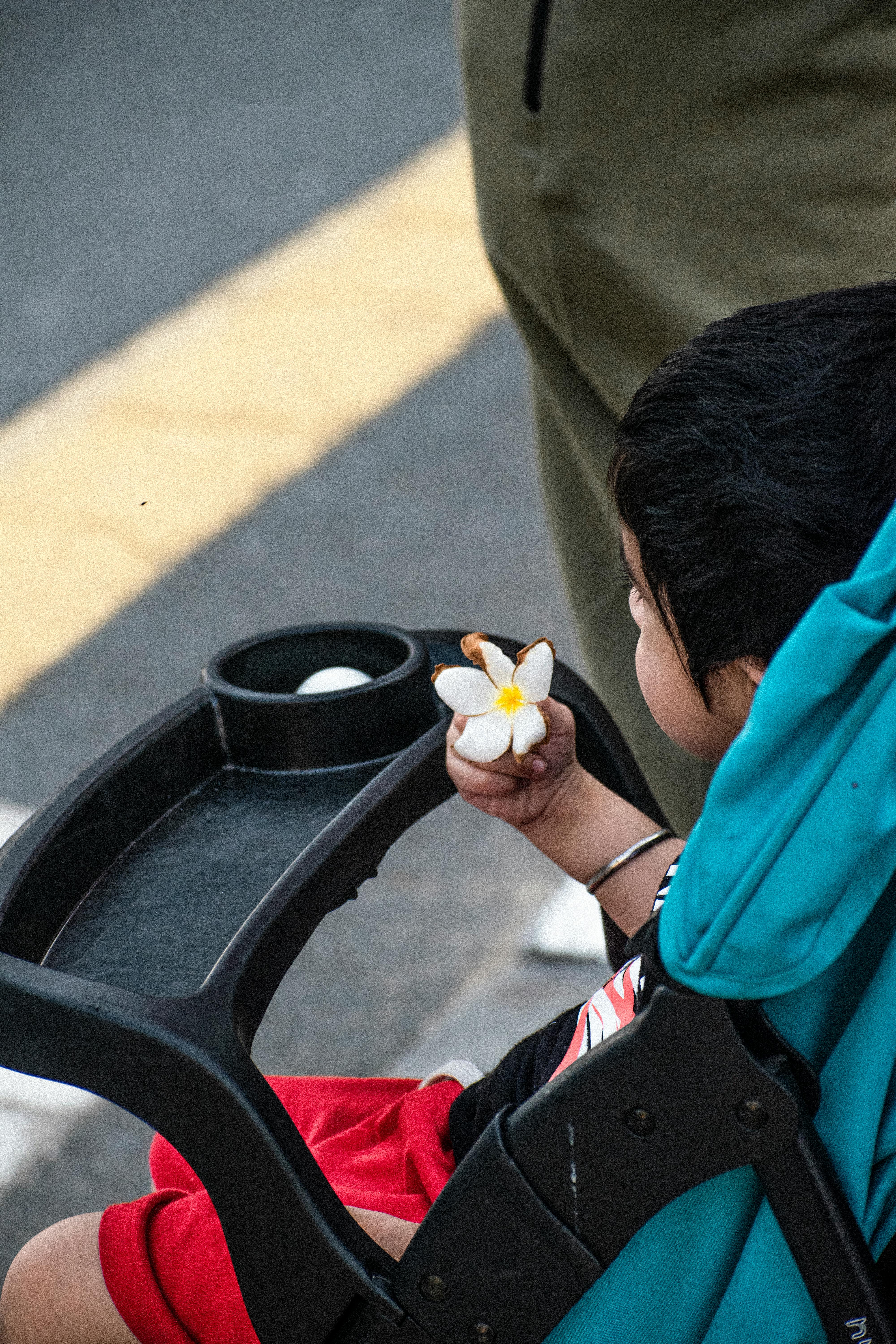 Child Sitting in Stroller and Holding Flower · Free Stock Photo