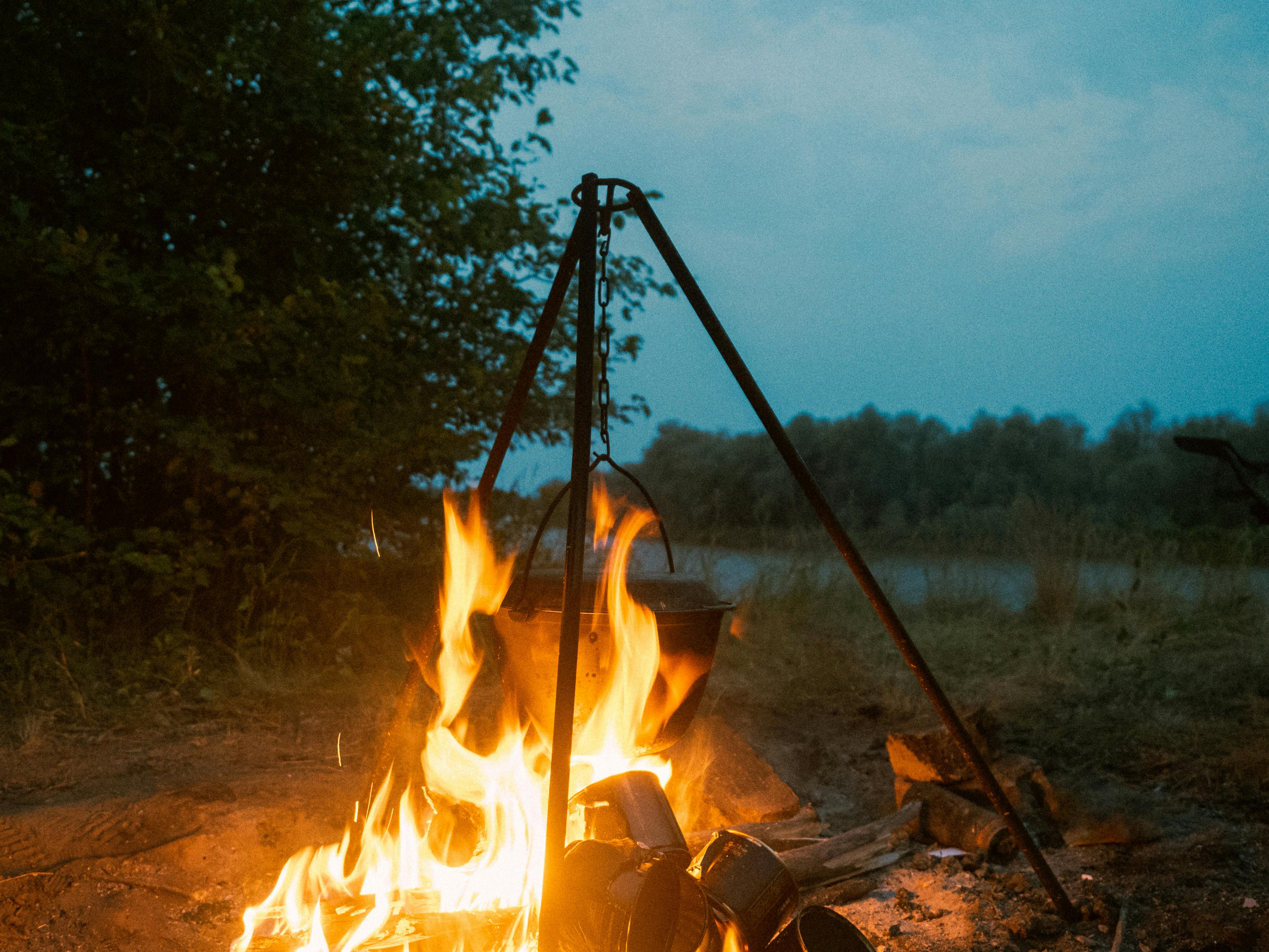 Fire in Bonfire on Camping · Free Stock Photo