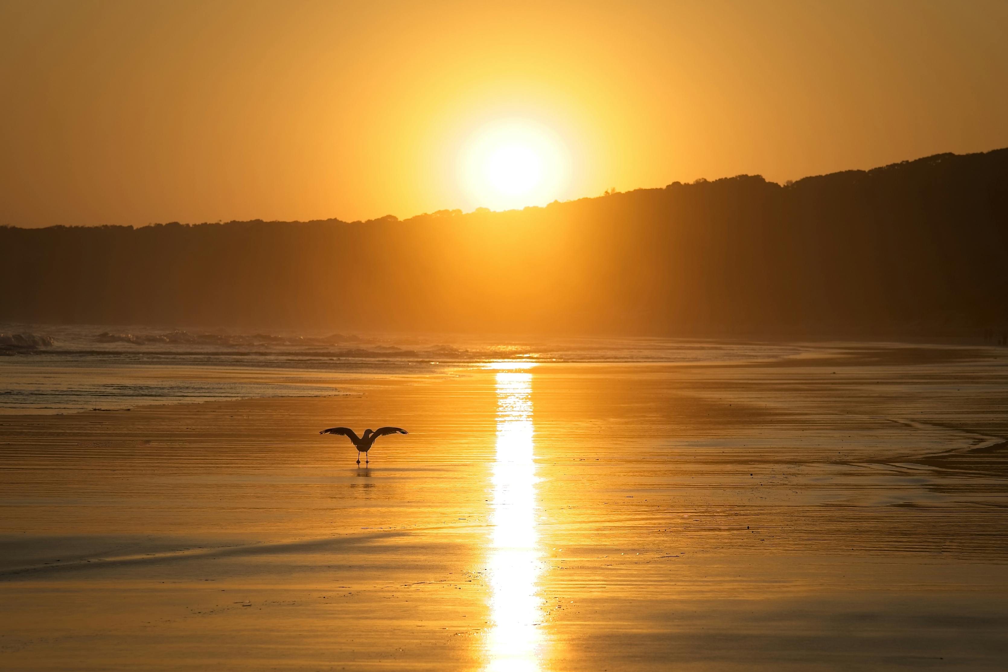 Sunet Lactat Photos, Download The BEST Free Sunet Lactat Stock Photos ...