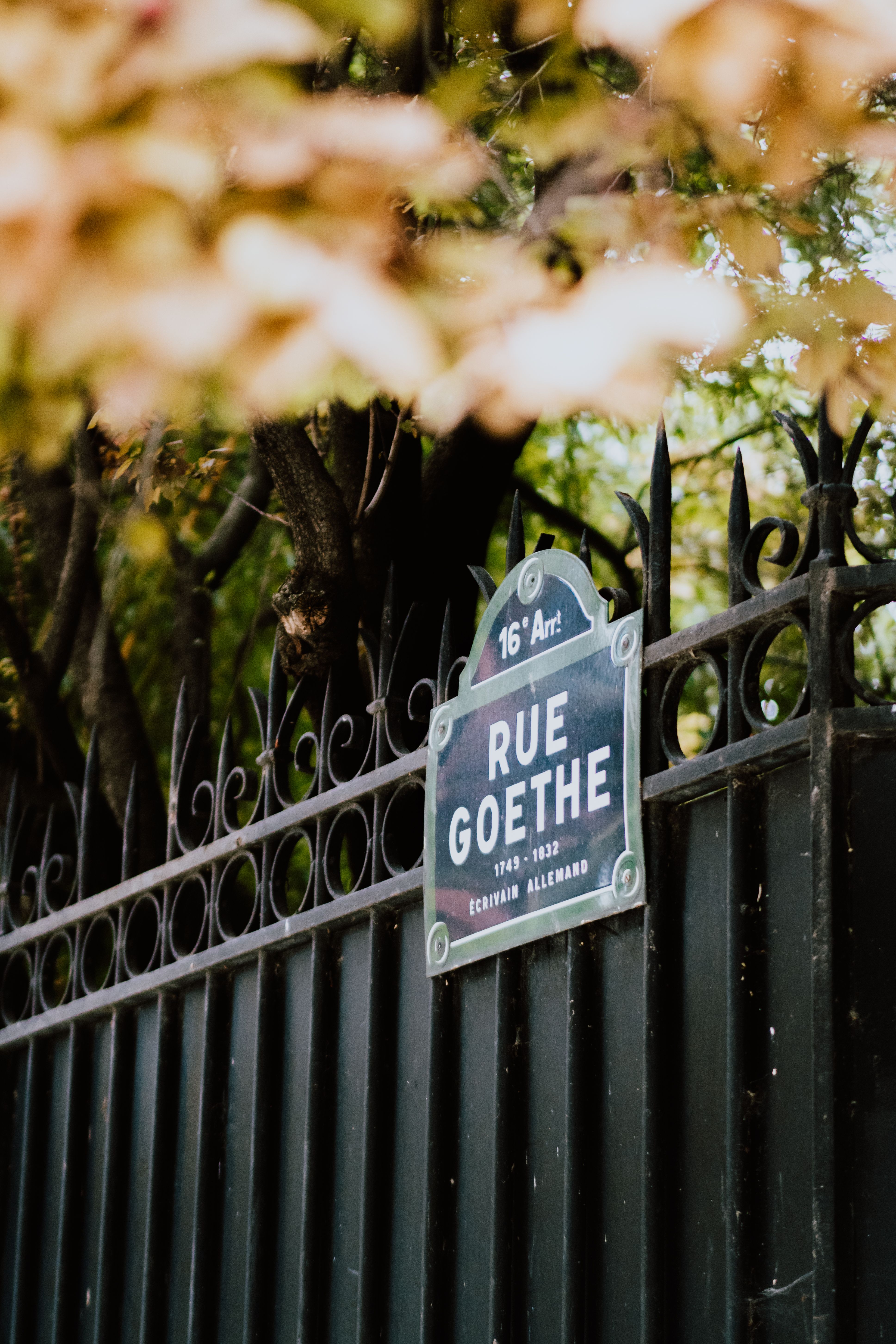 Goethe Street Photos, Download The BEST Free Goethe Street Stock Photos ...