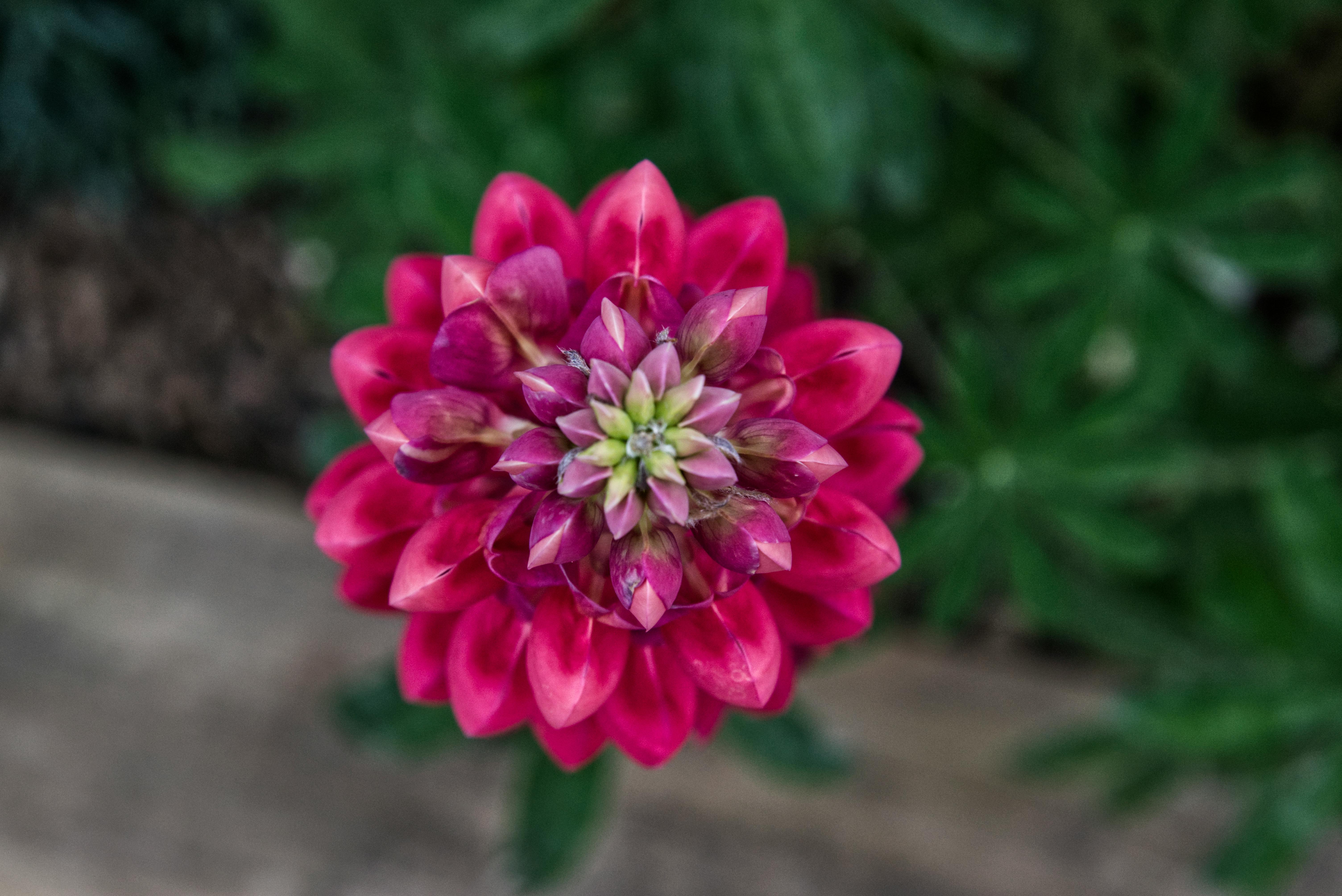 David Pryke - 摄影