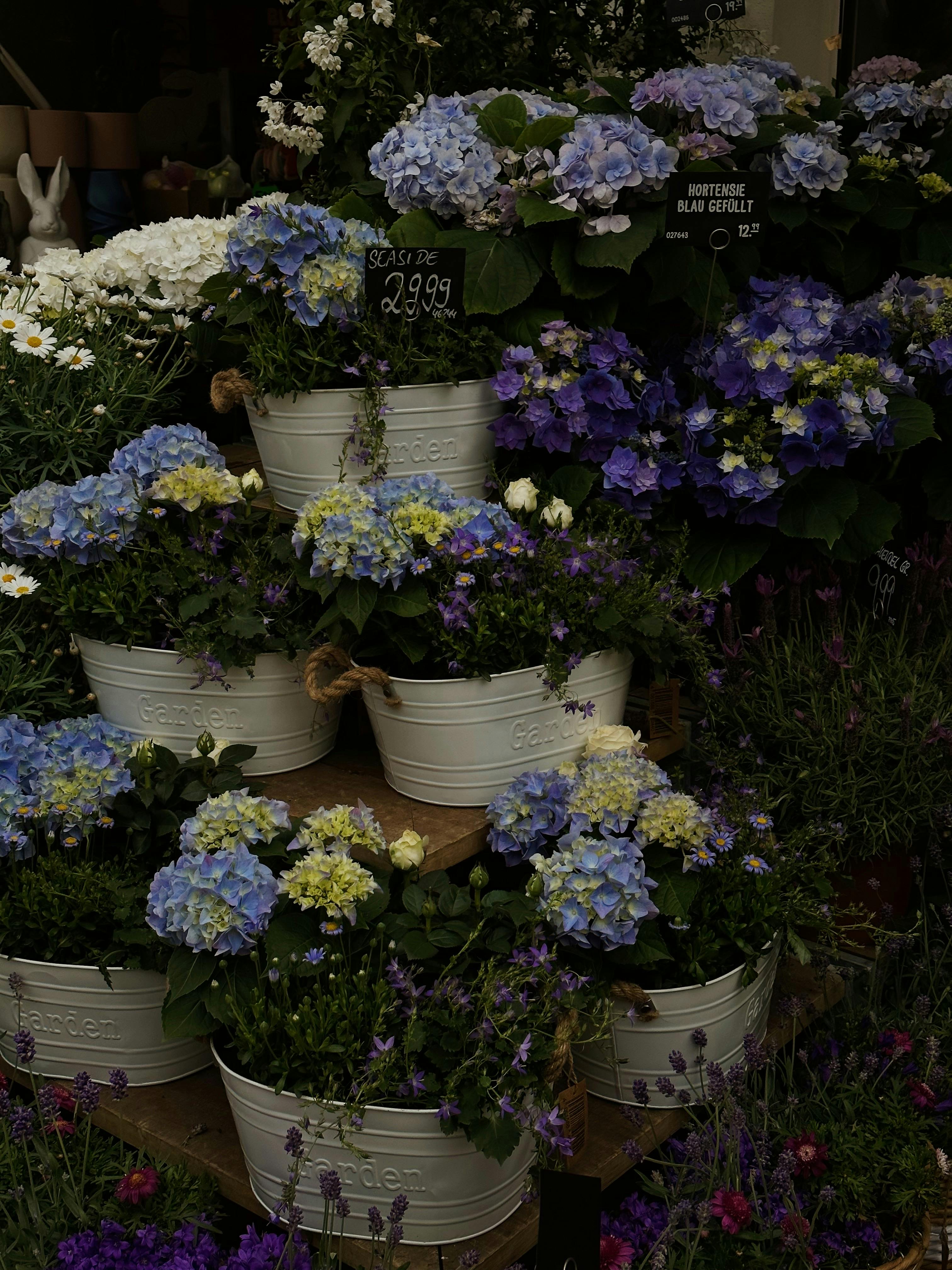 Buckets with Flowers · Free Stock Photo