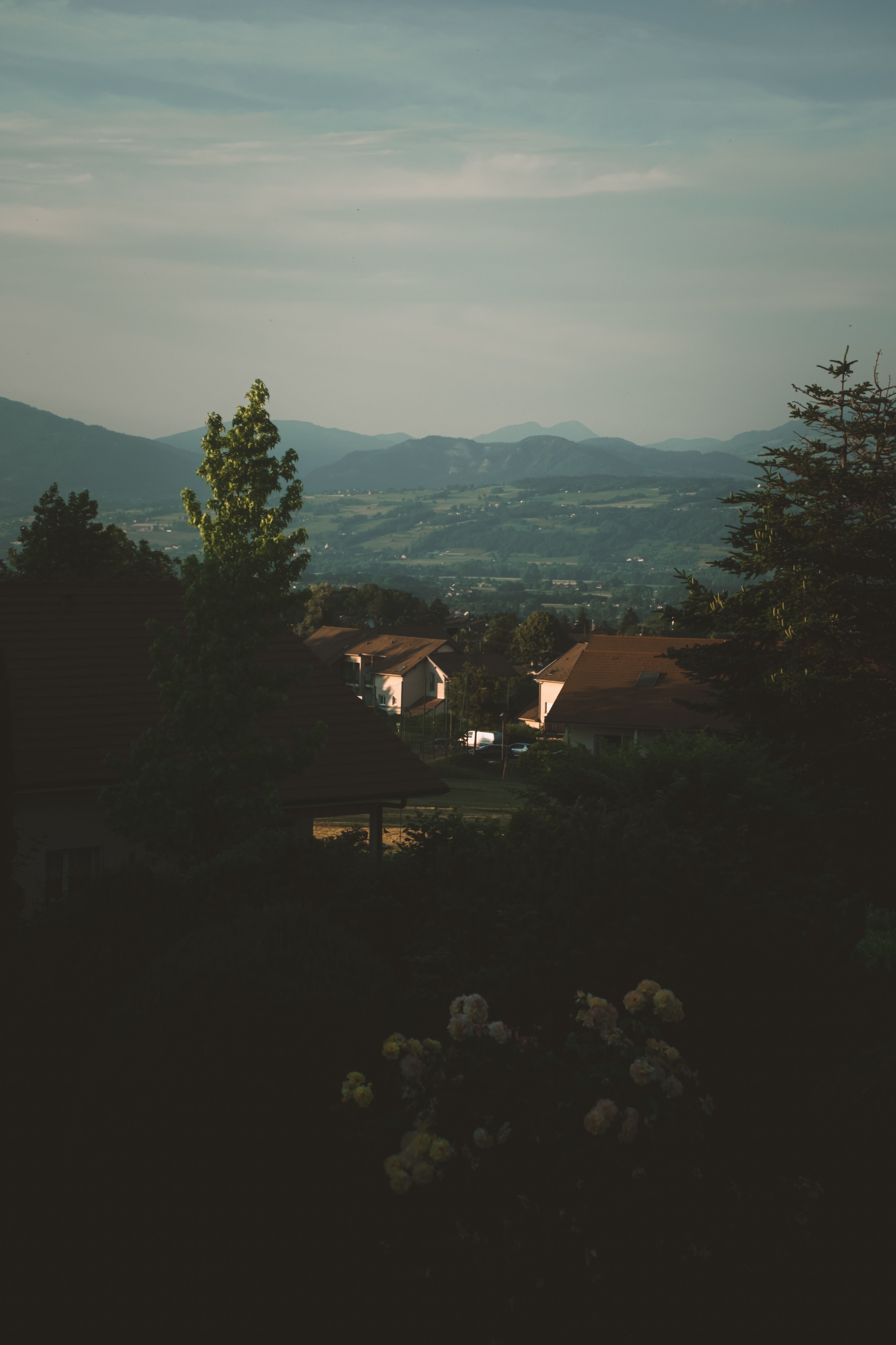 Village Buildings behind Forest Trees · Free Stock Photo
