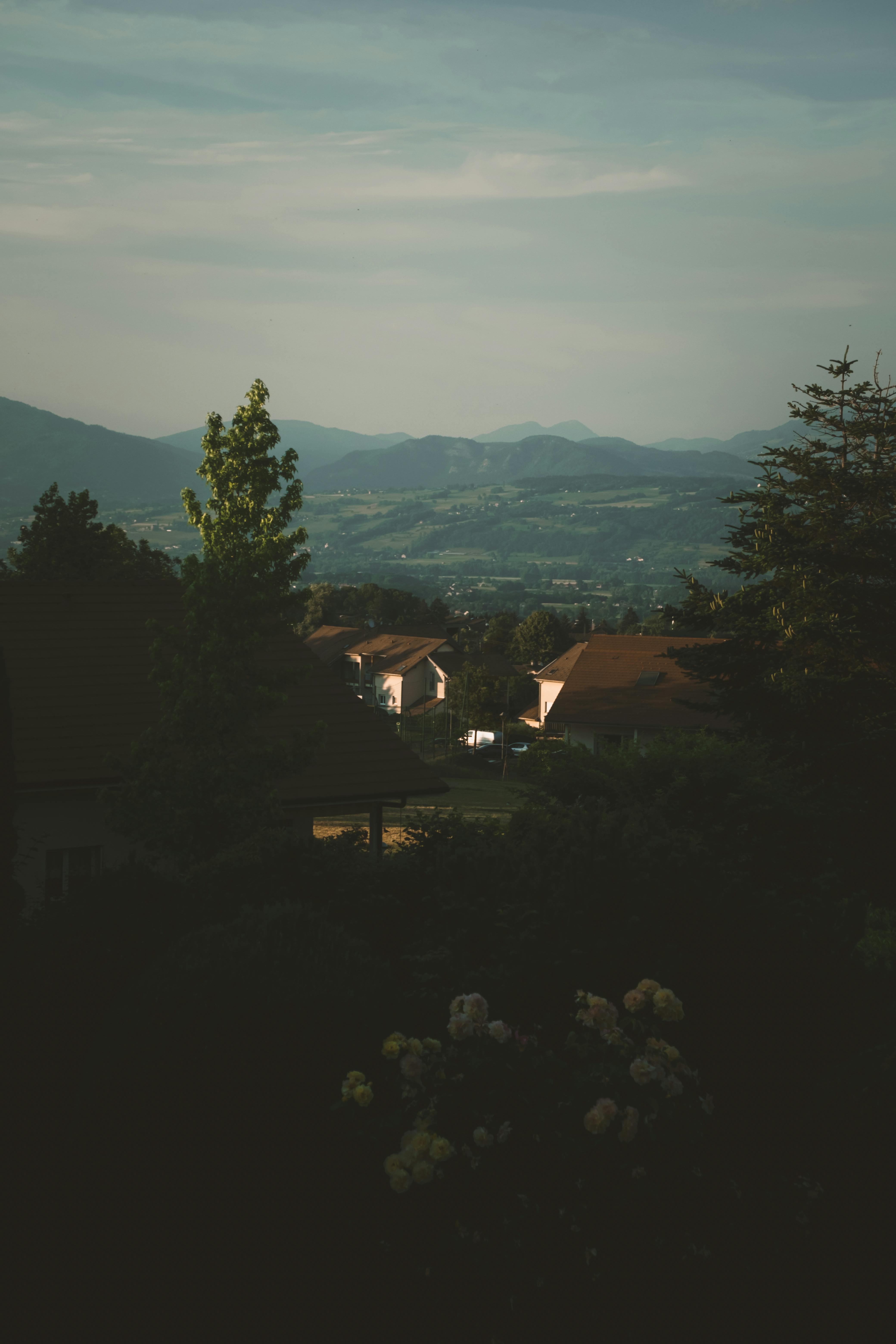 Green Forest and Village · Free Stock Photo