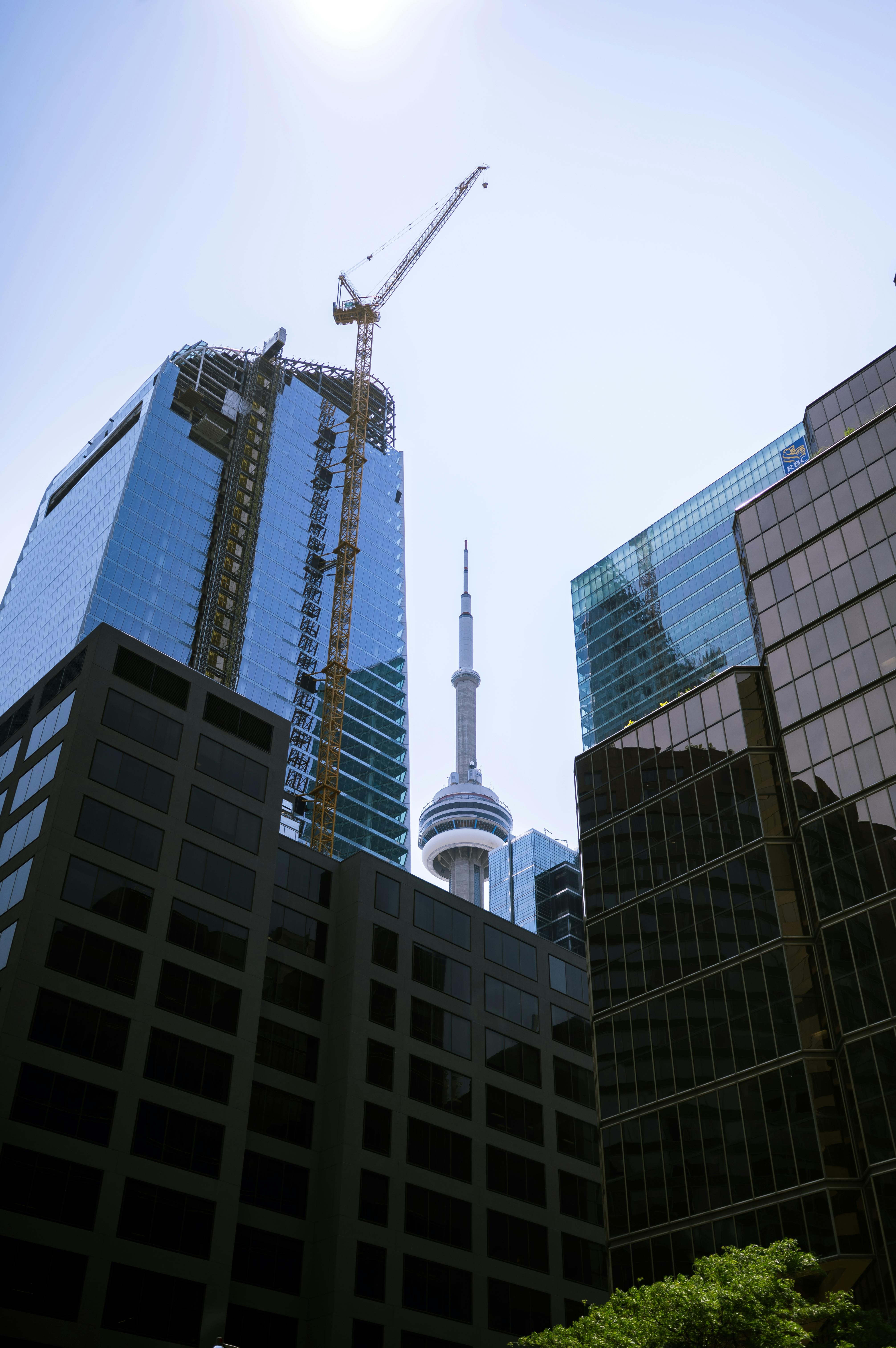 Man Standing With Background of Glass High Rise Building · Free Stock Photo