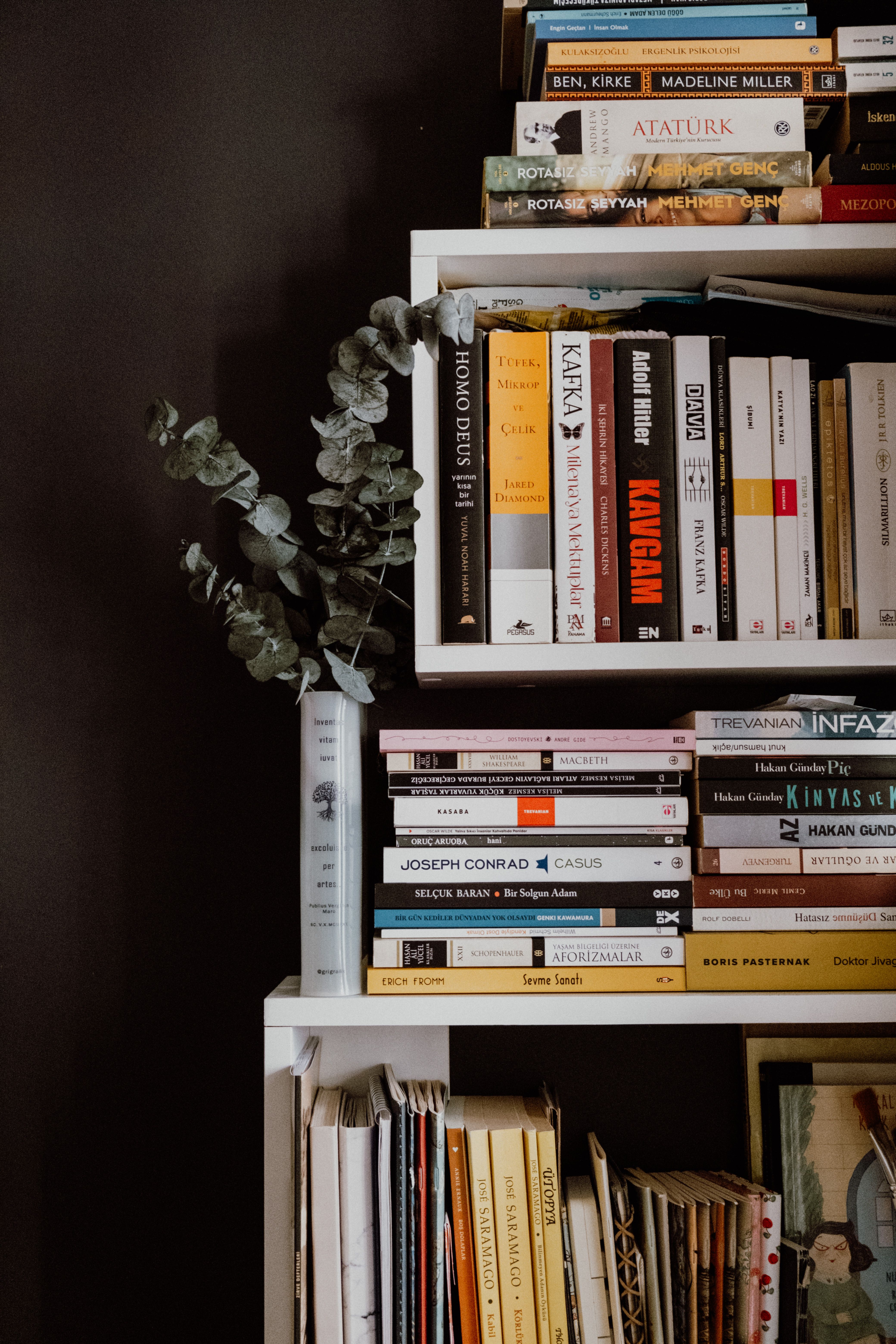 Books in Turkish on Shelves · Free Stock Photo