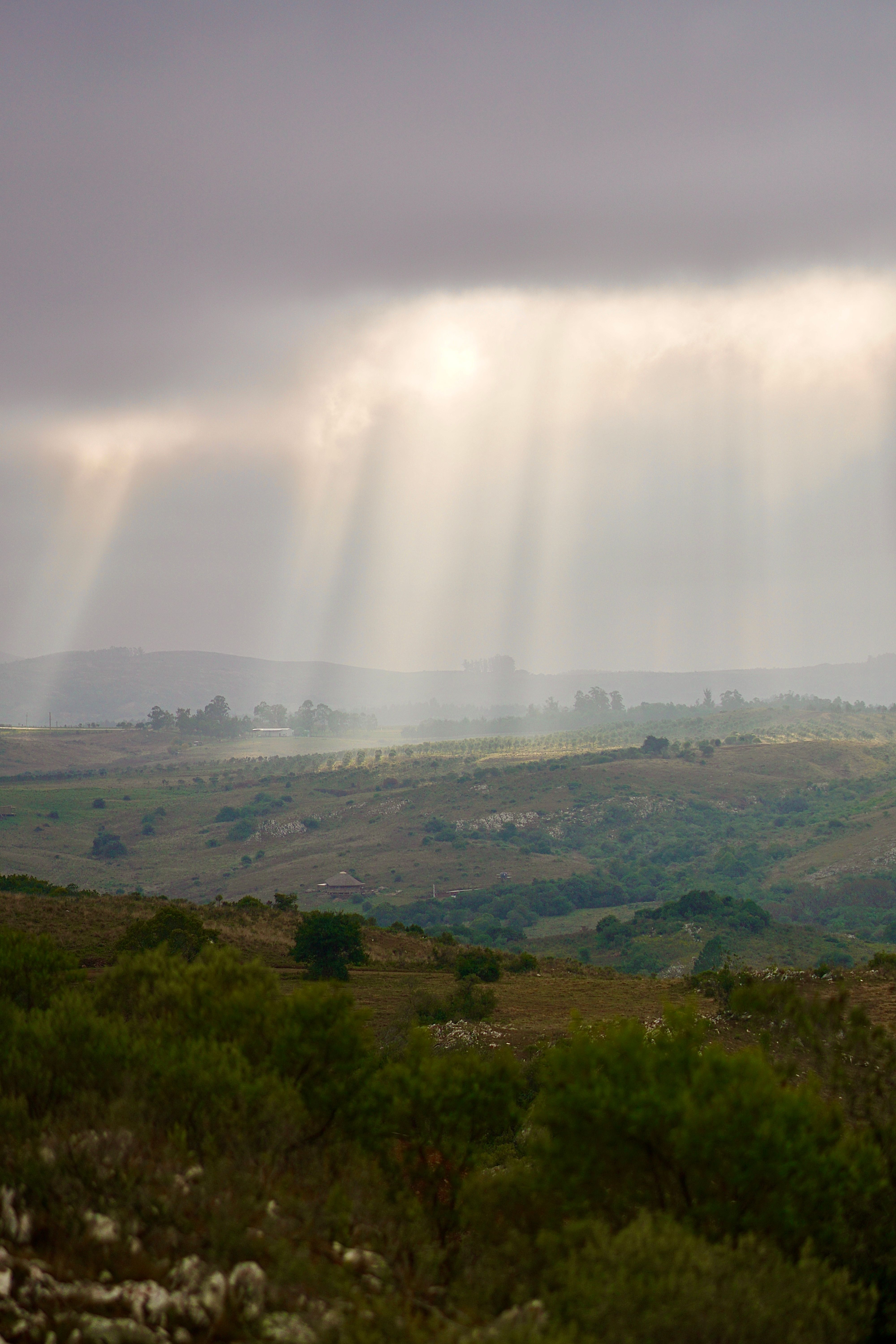 Sun Shafts Photos, Download The BEST Free Sun Shafts Stock Photos & HD ...