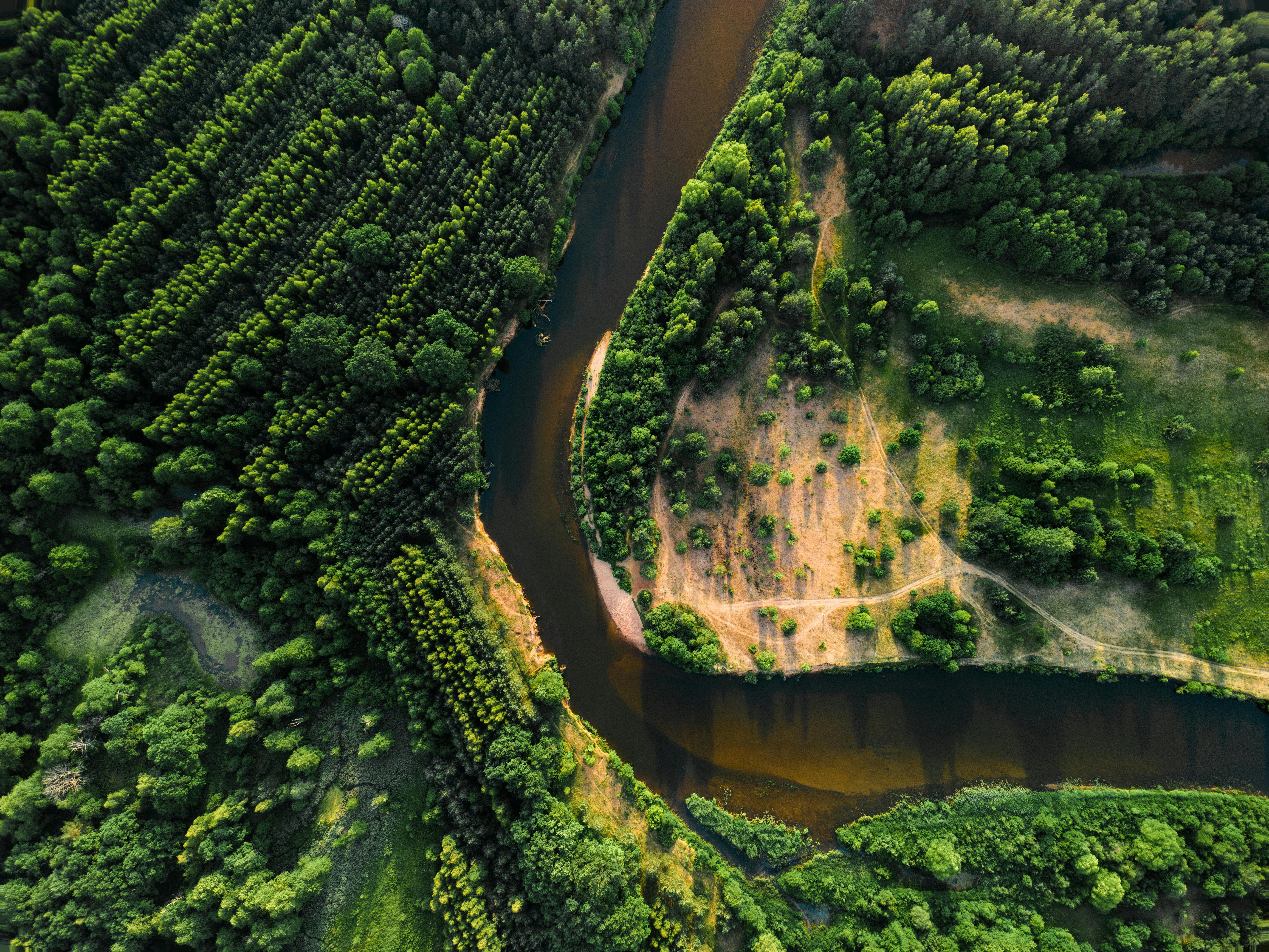 Top View of a River and Green Forest · Free Stock Photo