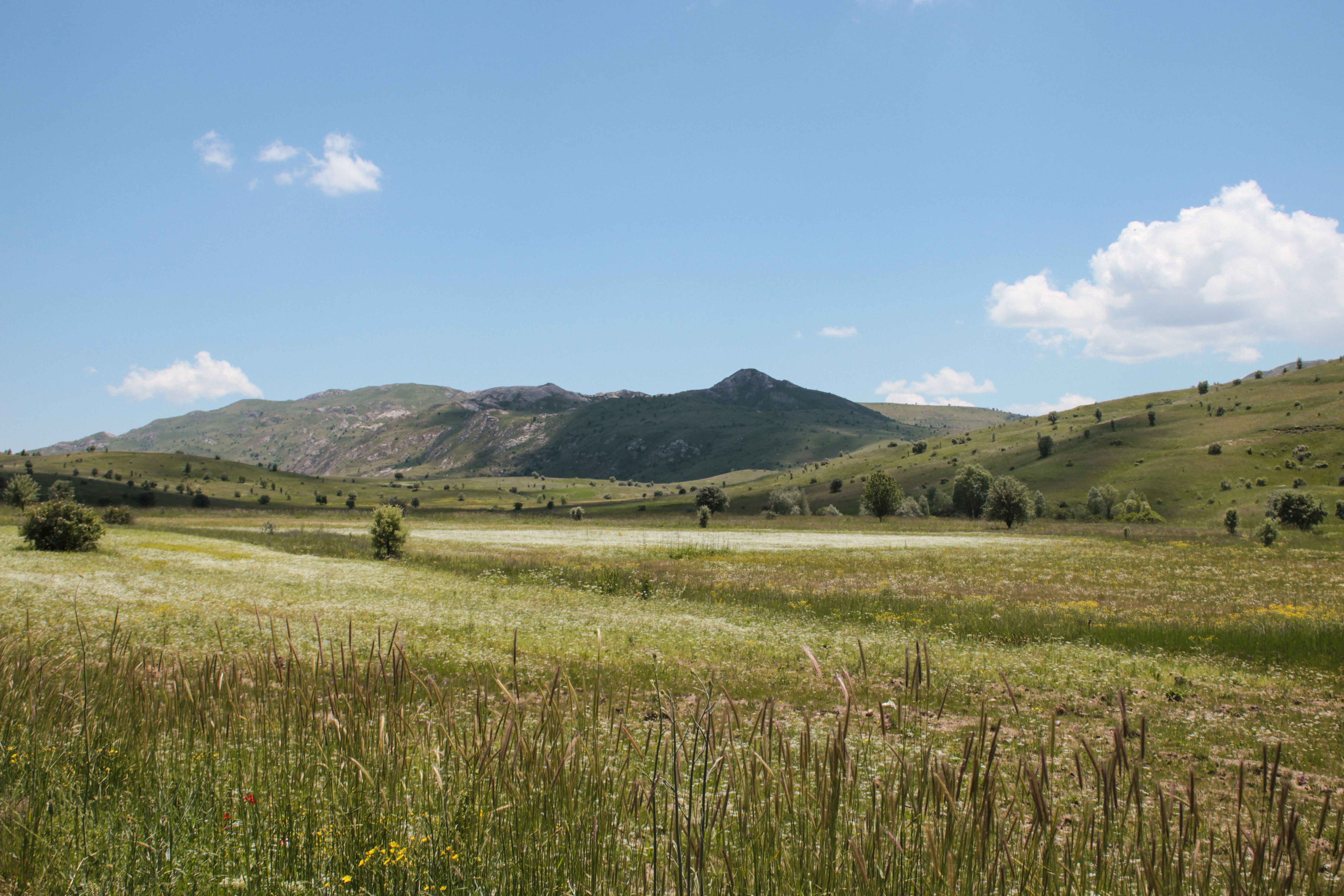 Landscape of a Grass Field and Hills under Blue Sky · Free Stock Photo
