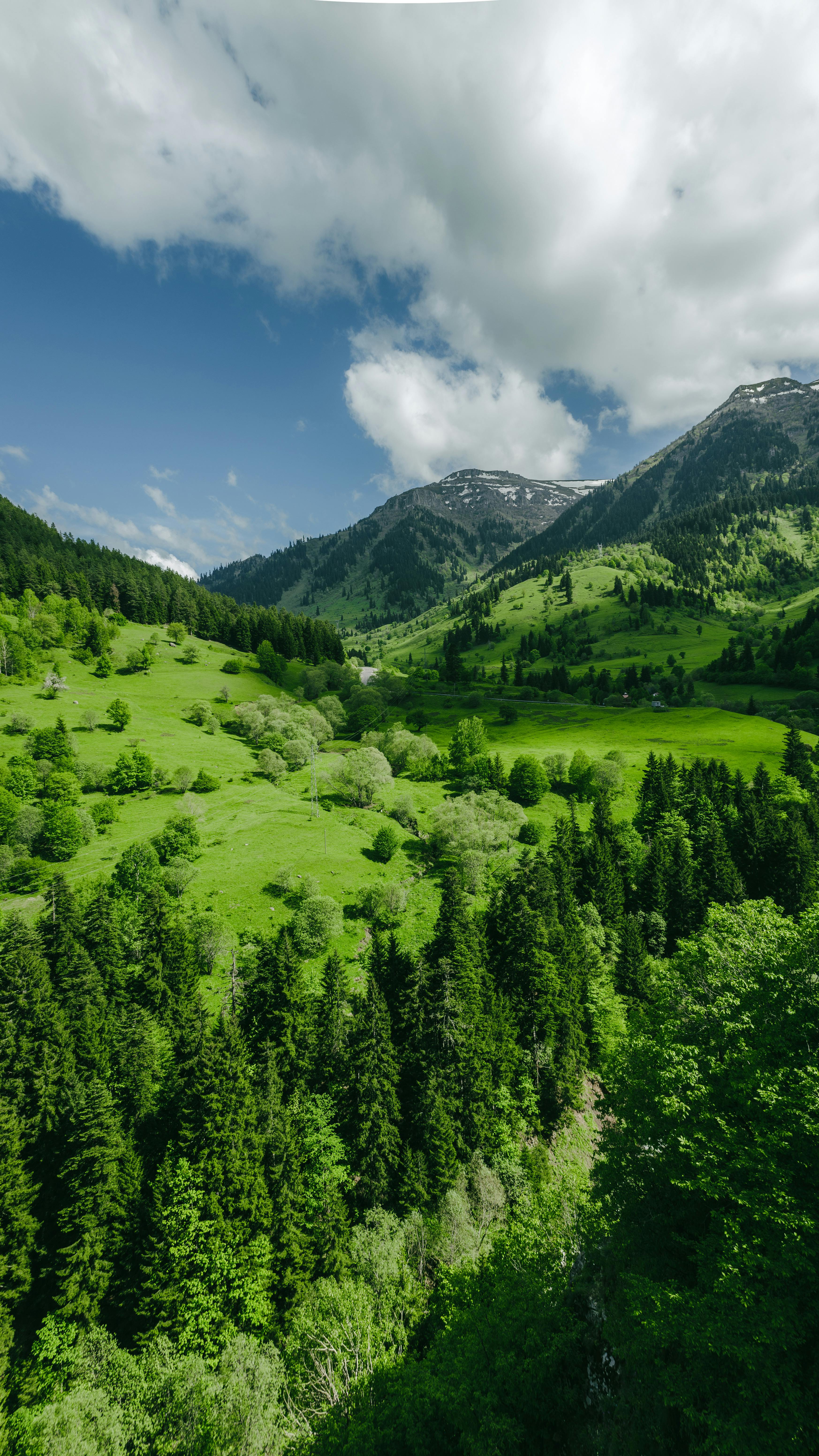 Green, Sunlit Valley · Free Stock Photo