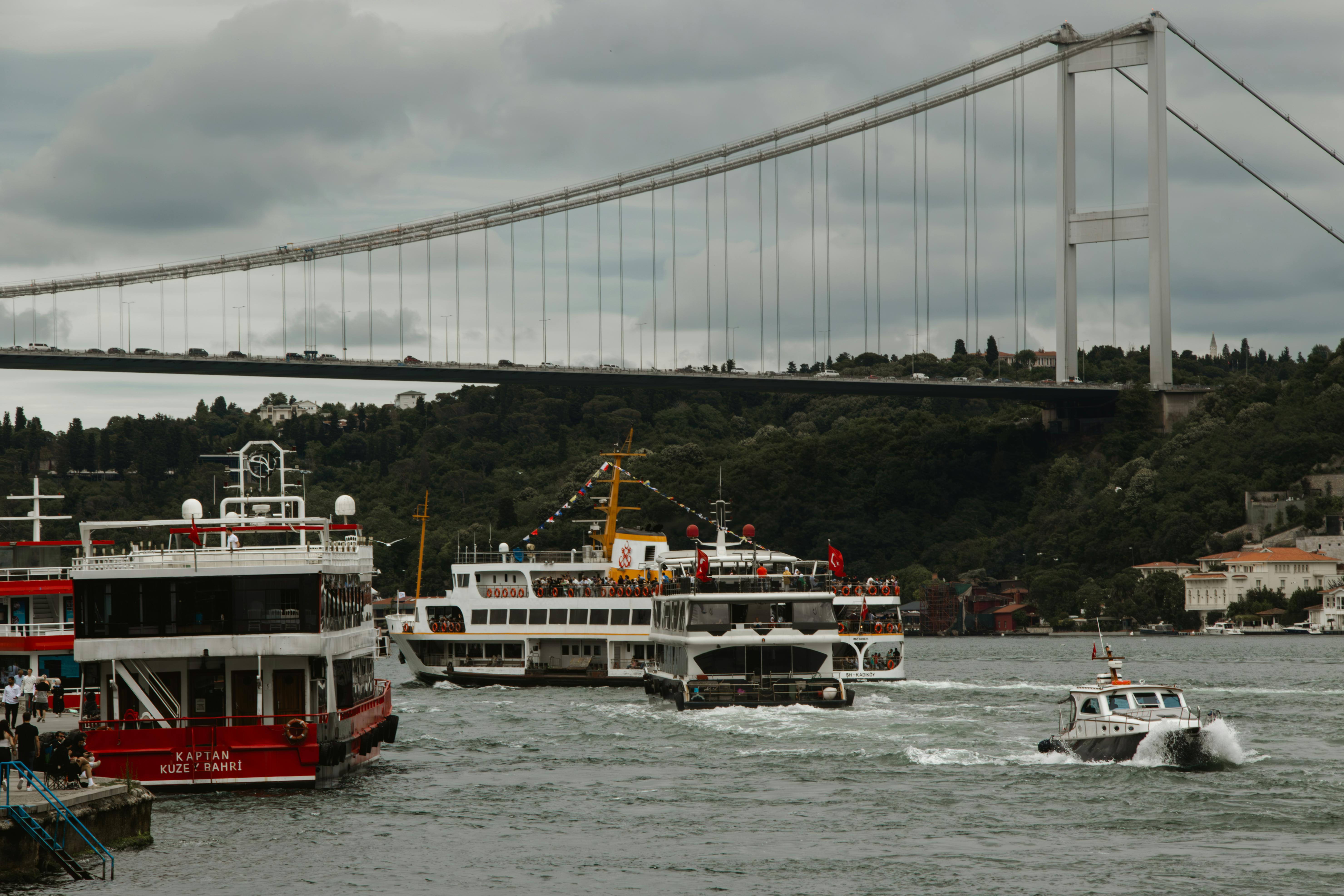 Kuzey Texter Photos, Download The BEST Free Kuzey Texter Stock Photos ...