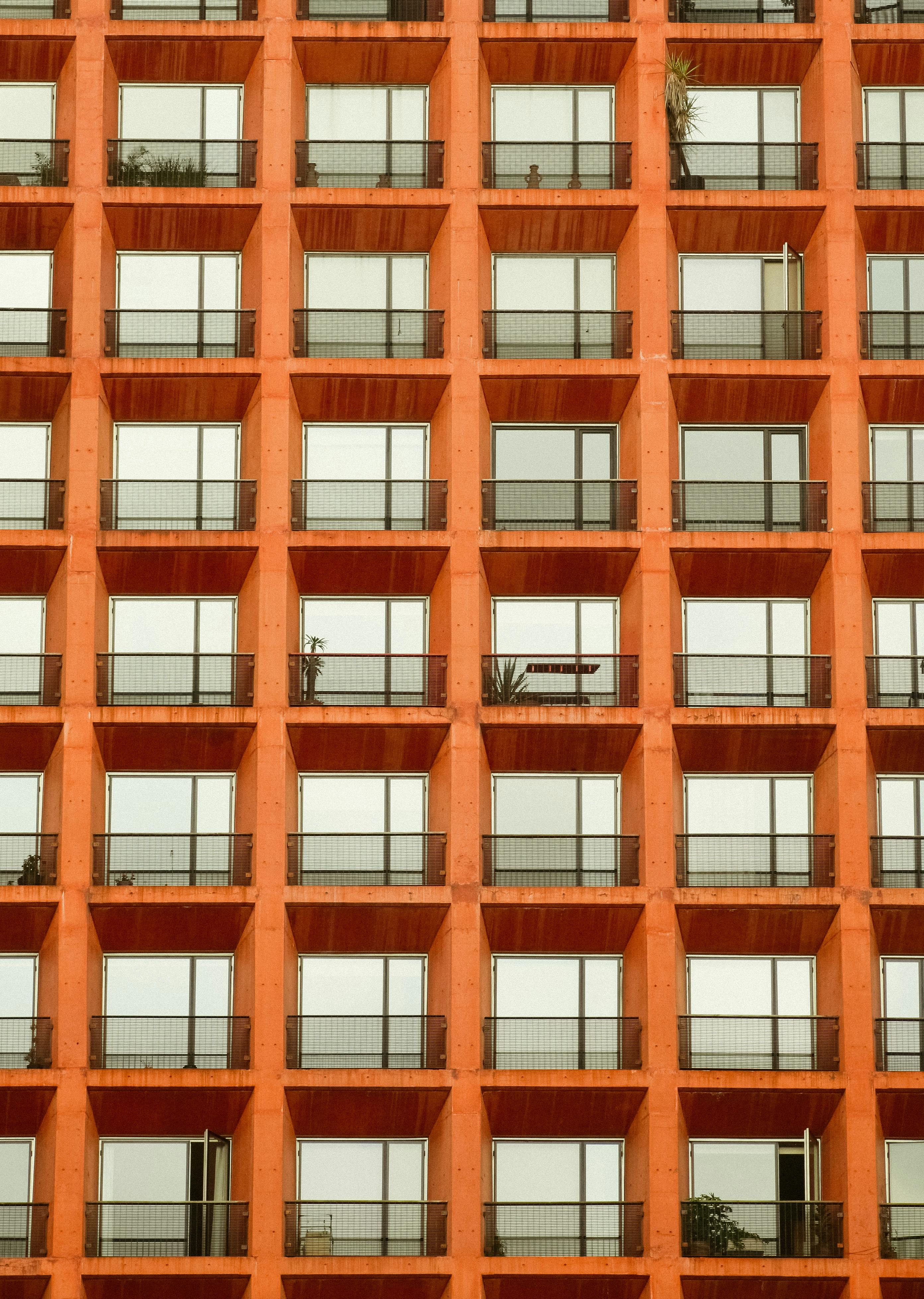 Windows in Building with Apartments · Free Stock Photo