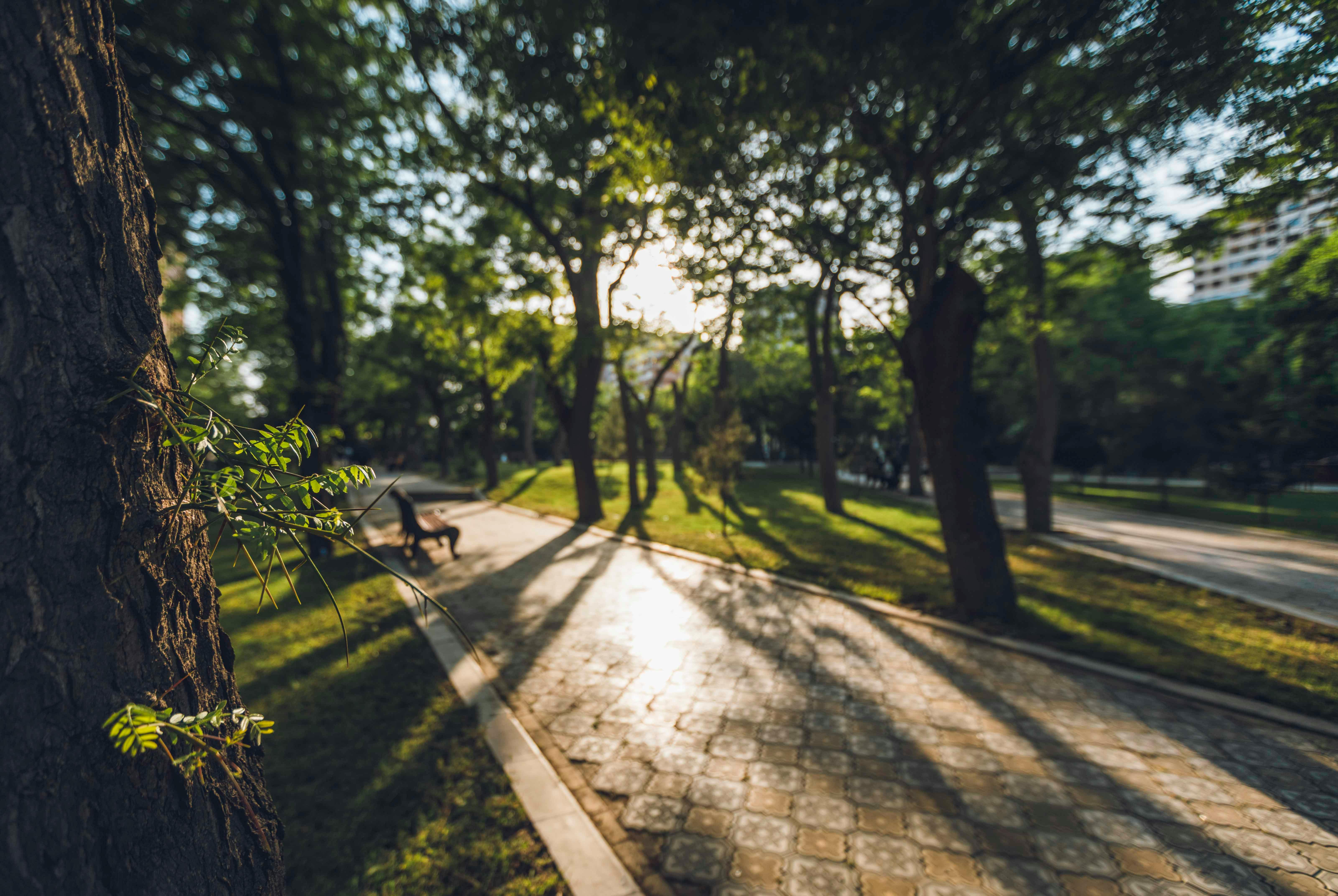 Baku Parks Photos, Download The BEST Free Baku Parks Stock Photos & HD ...