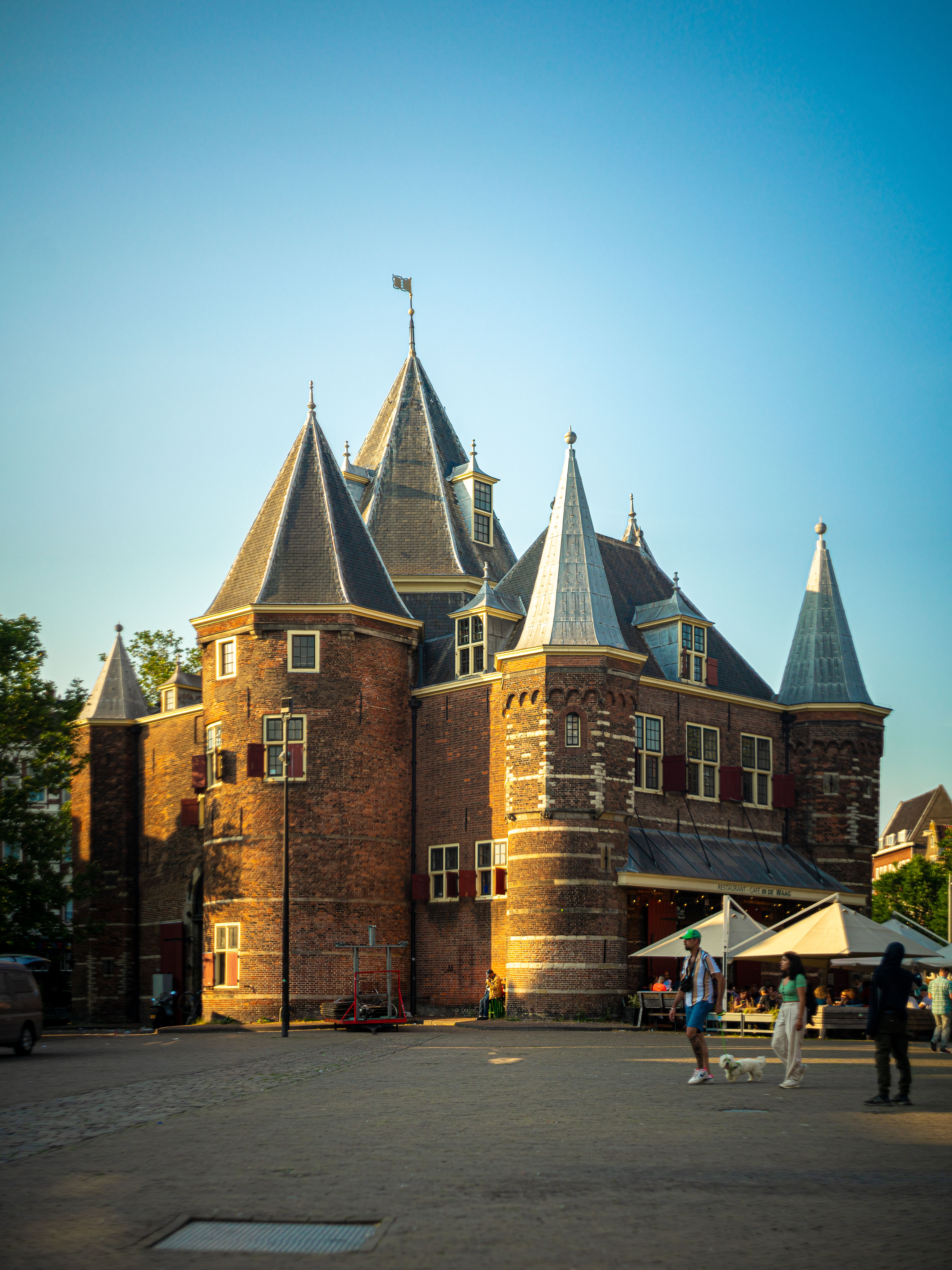 Nieuwe Knop Photos, Download The BEST Free Nieuwe Knop Stock Photos ...
