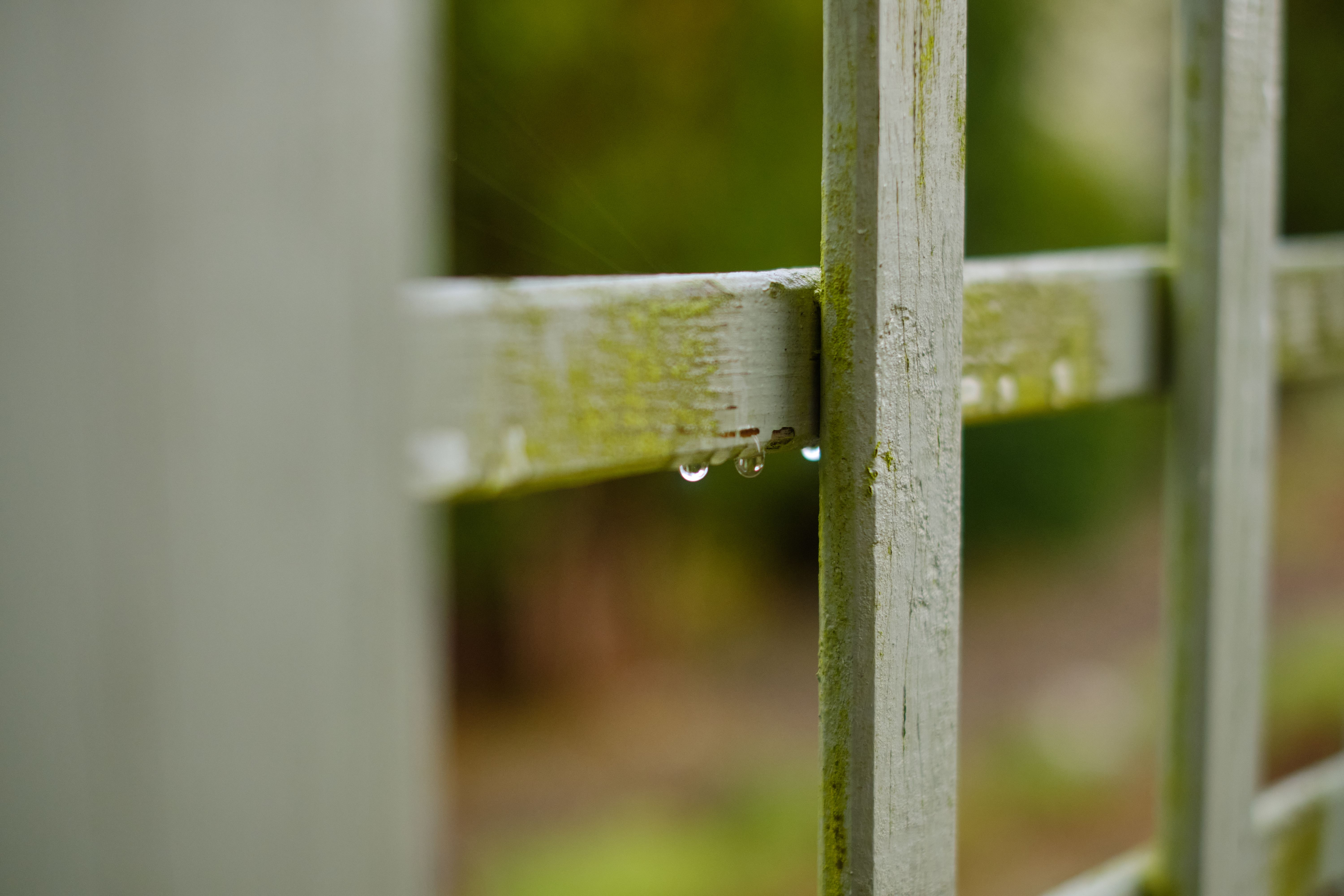 Raindrops on Fence Planks · Free Stock Photo