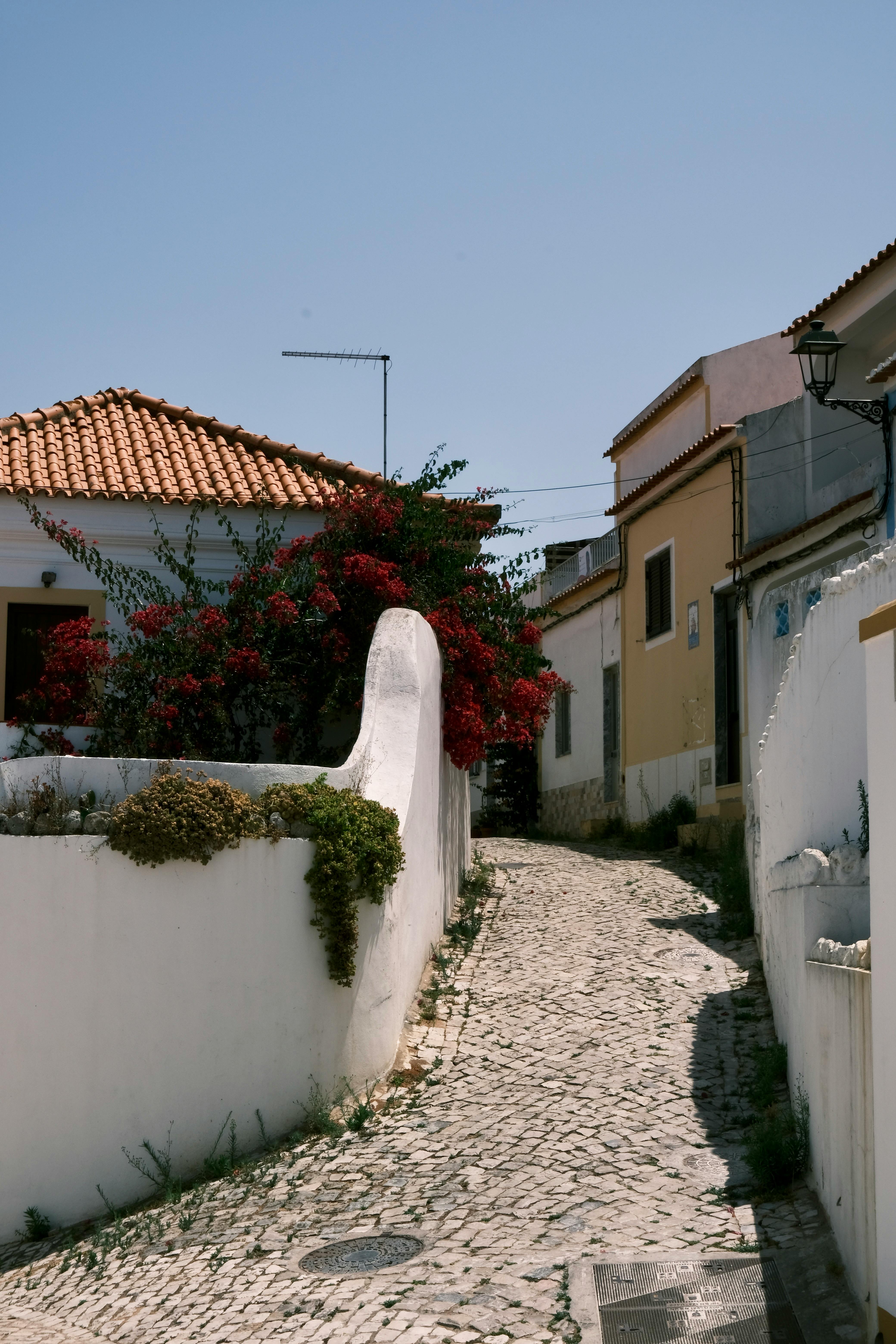 Beautiful Cobbled Town Street with White Walls and Traditional Houses · Free Stock Photo