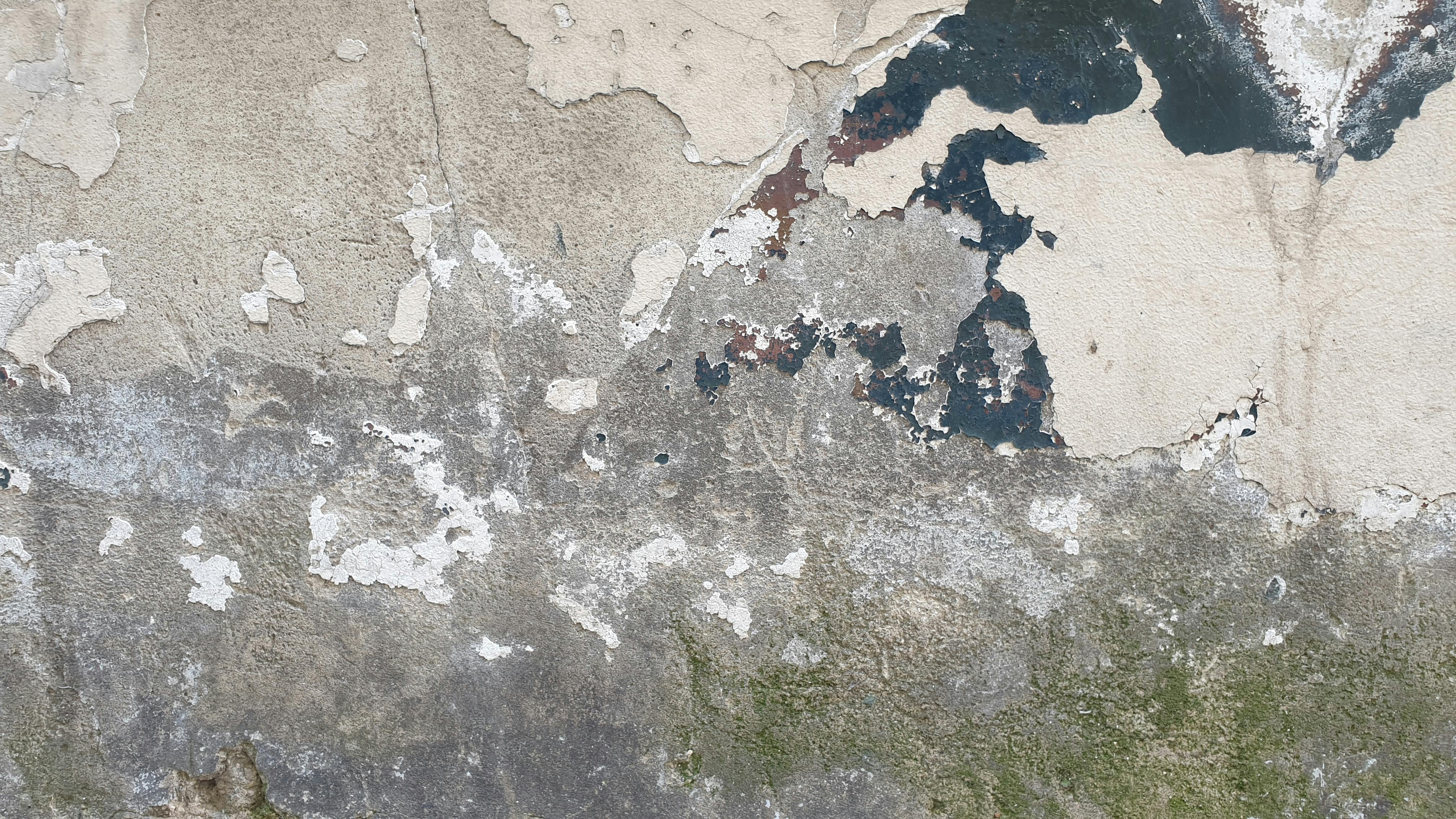 Texturas Photos, Download The BEST Free Texturas Stock Photos & HD Images