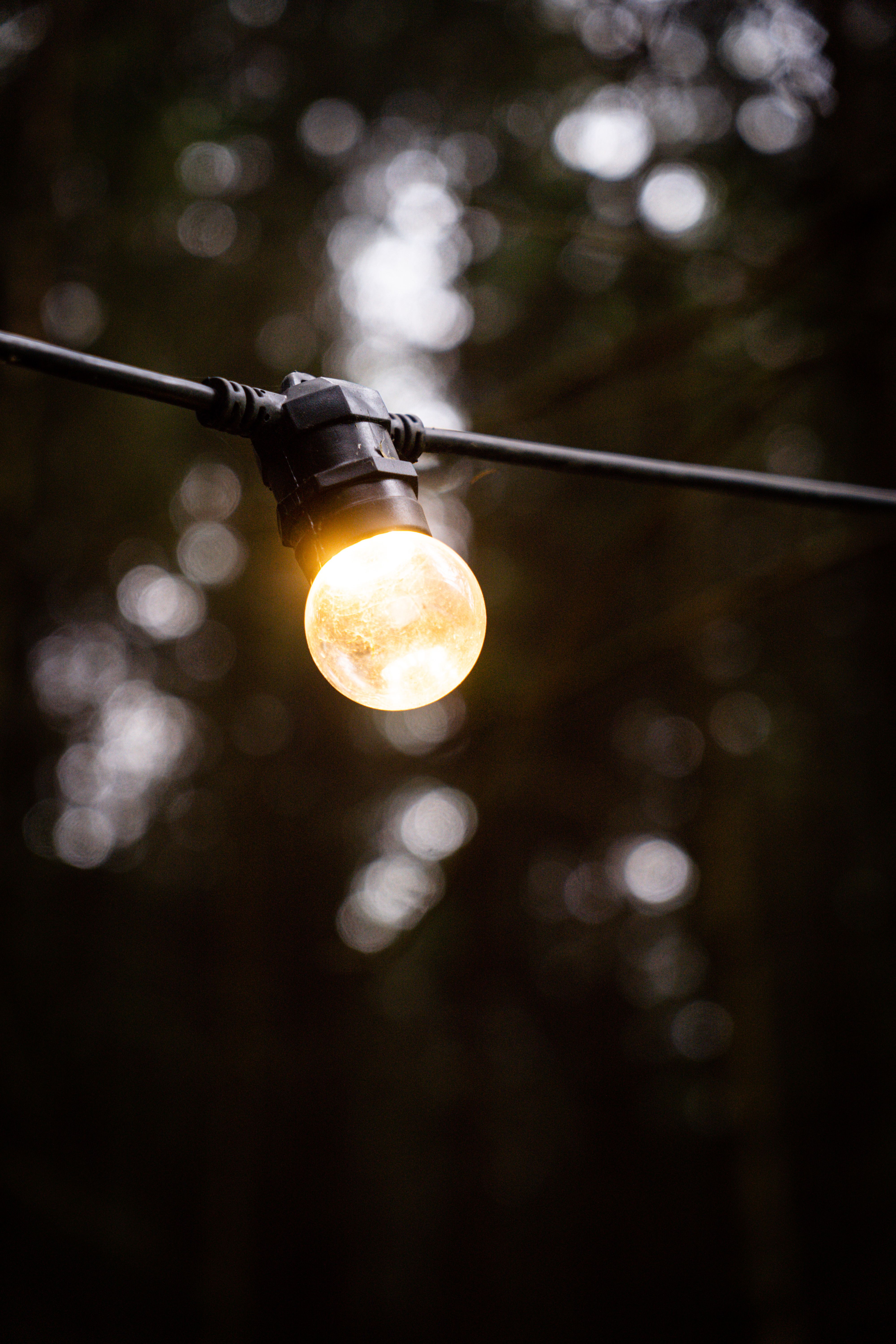 Black String Light · Free Stock Photo