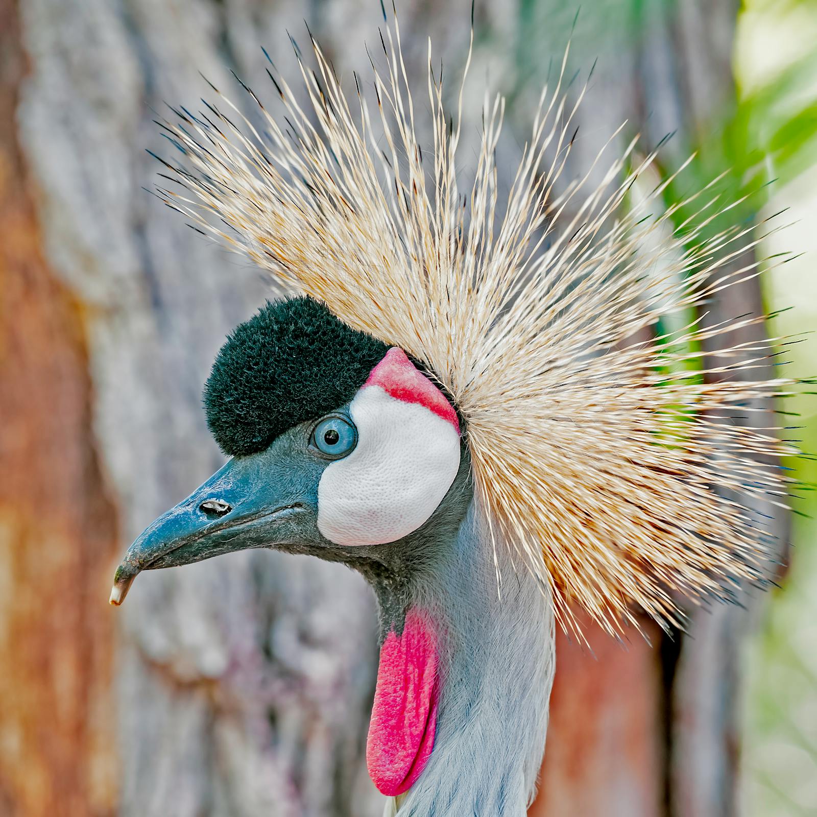 Over Head Crane Photos, Download The BEST Free Over Head Crane Stock ...