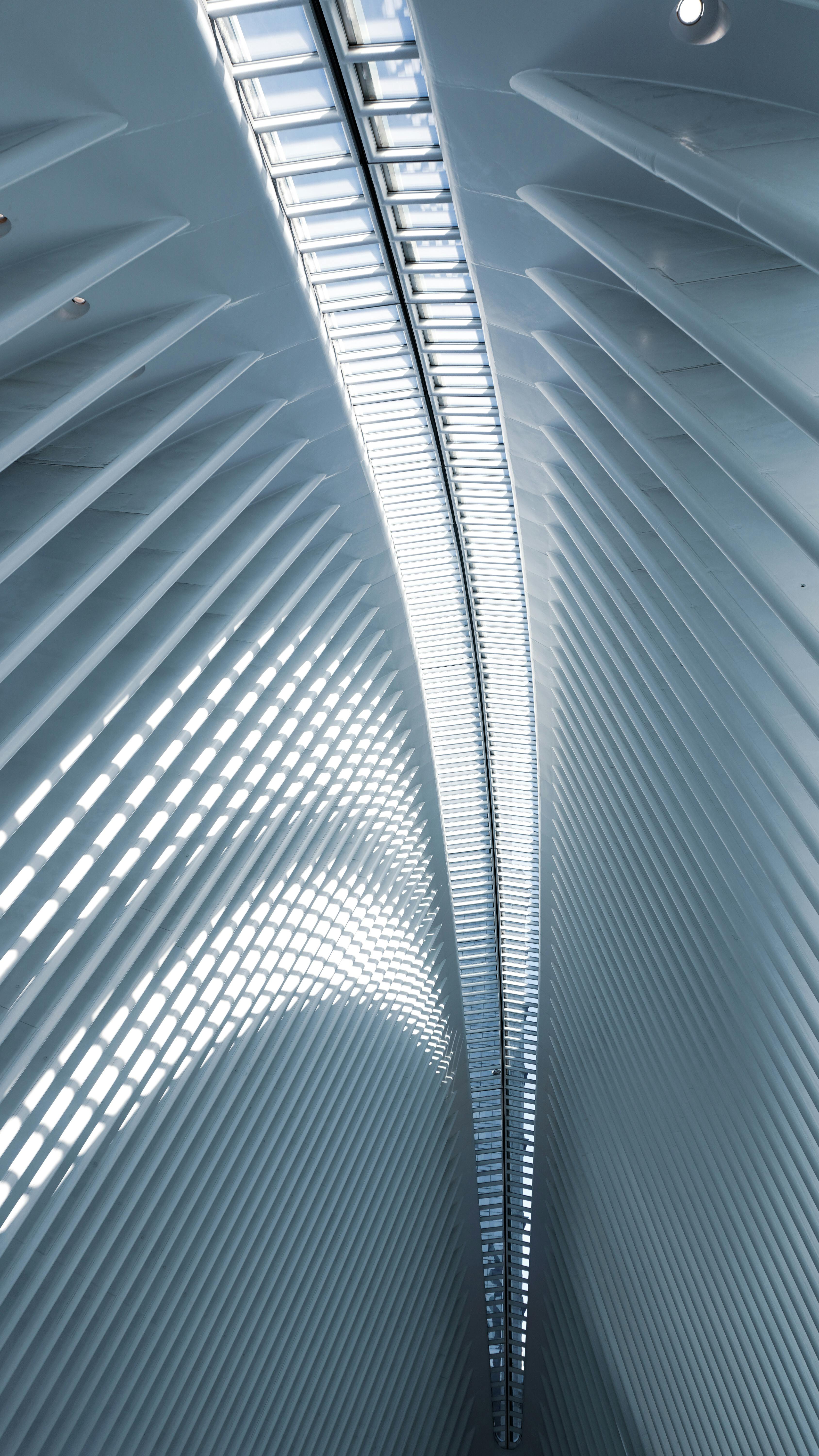 Memory Cycle Photos, Download The BEST Free Memory Cycle Stock Photos ...