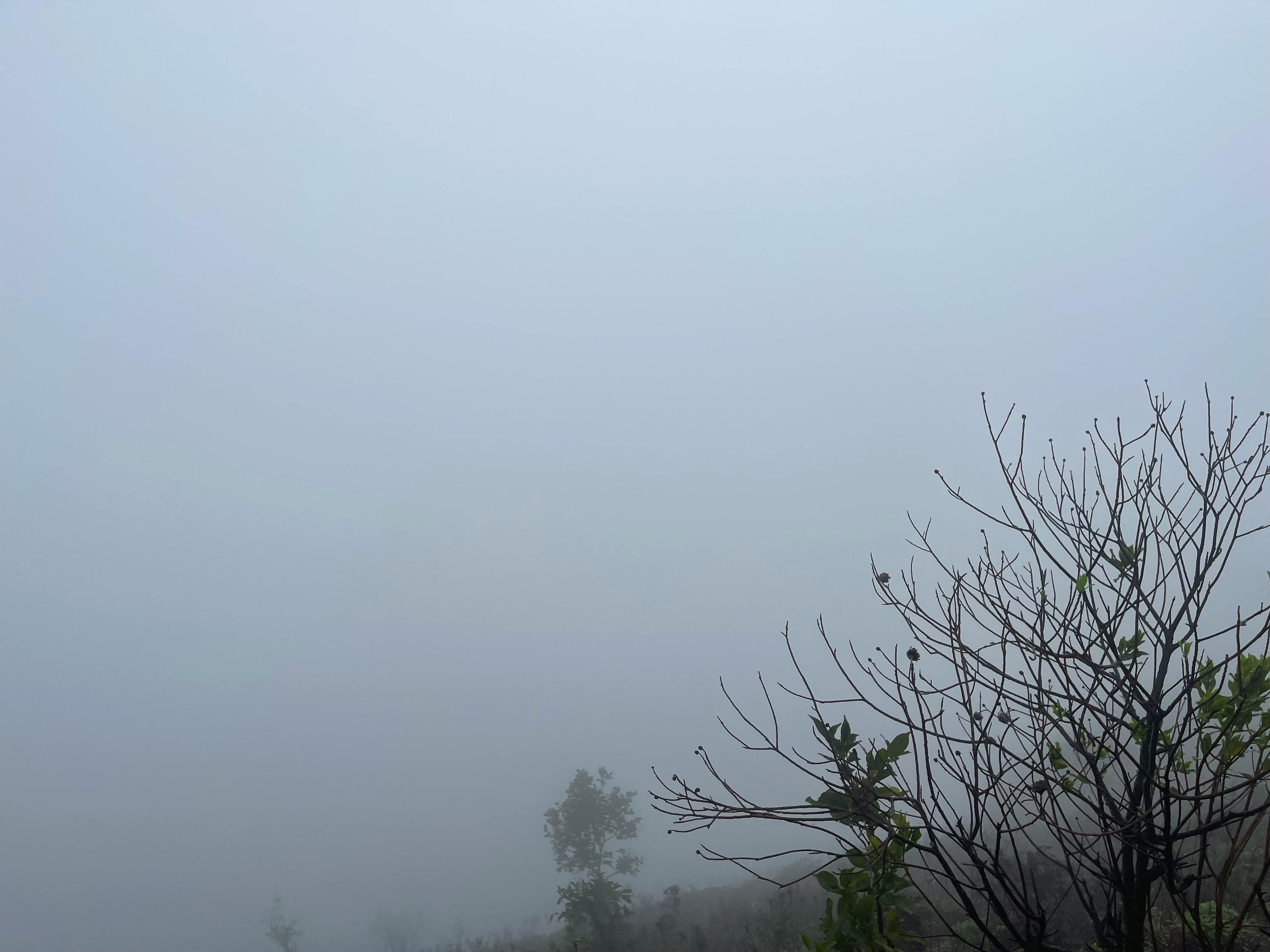 Anirudh Kumar - 写真 Anirudh Kumar - 写真