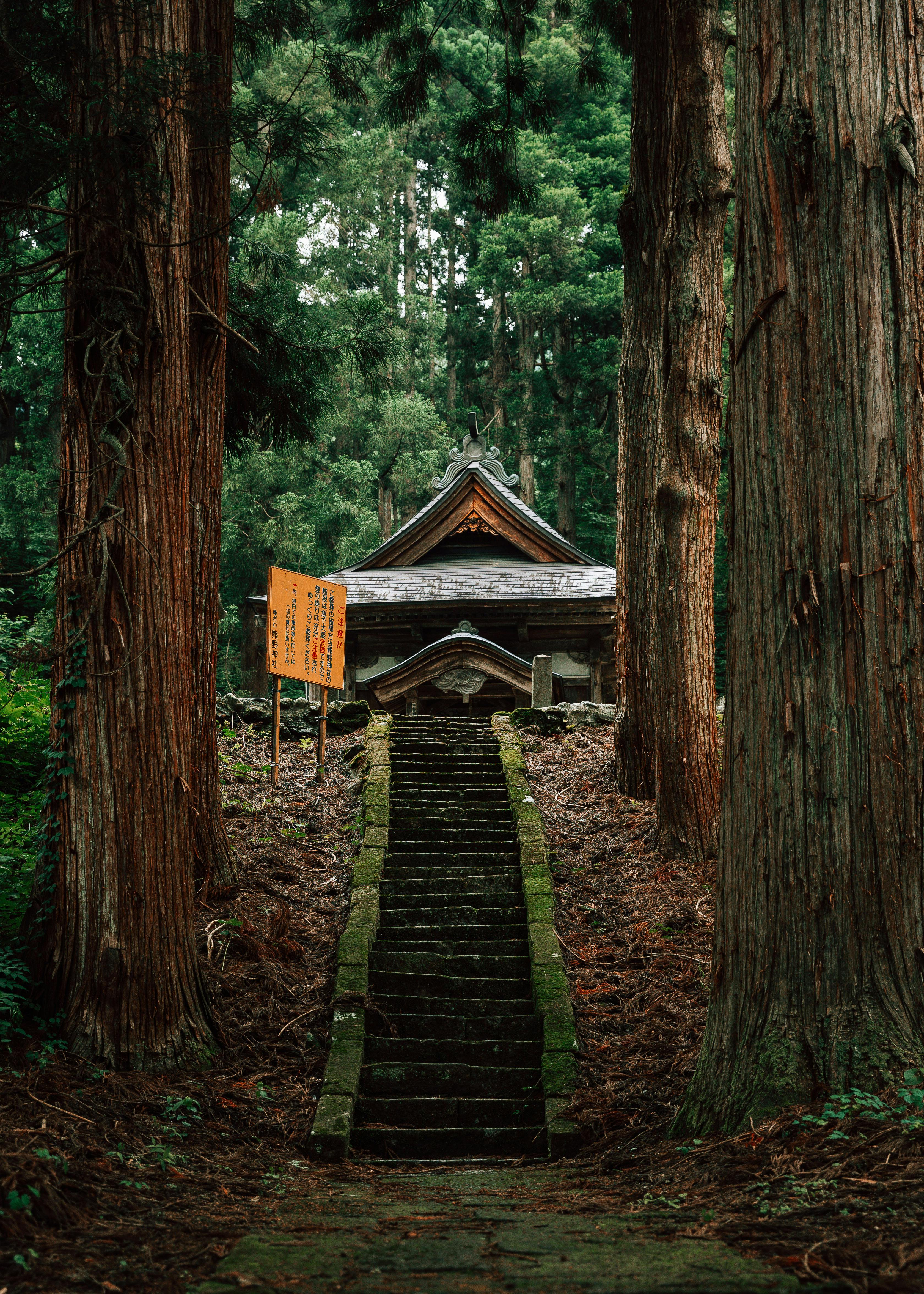 Wood Steps In Forest Photos, Download The BEST Free Wood Steps In ...