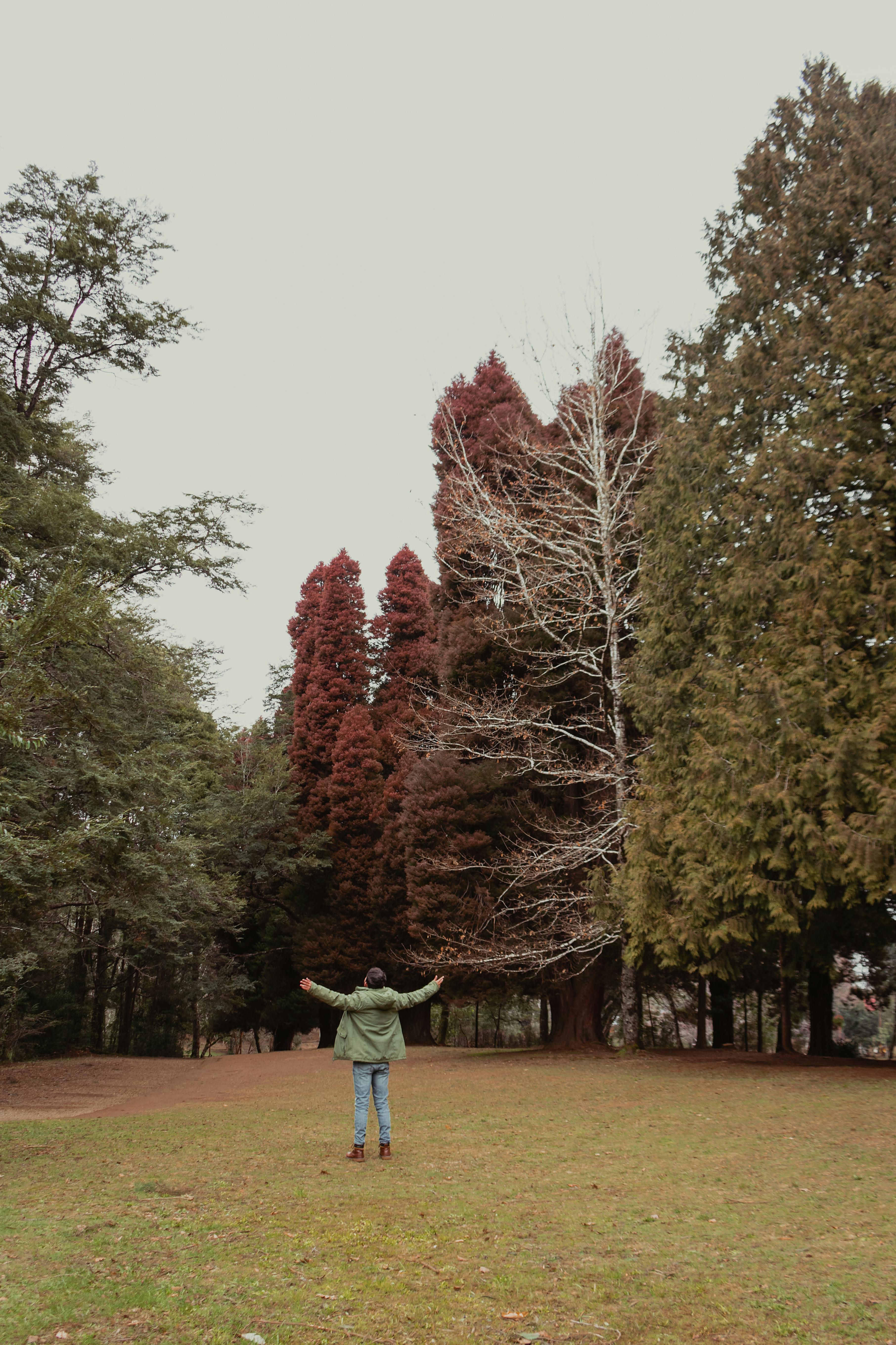 Relieve Photos, Download The BEST Free Relieve Stock Photos & HD Images