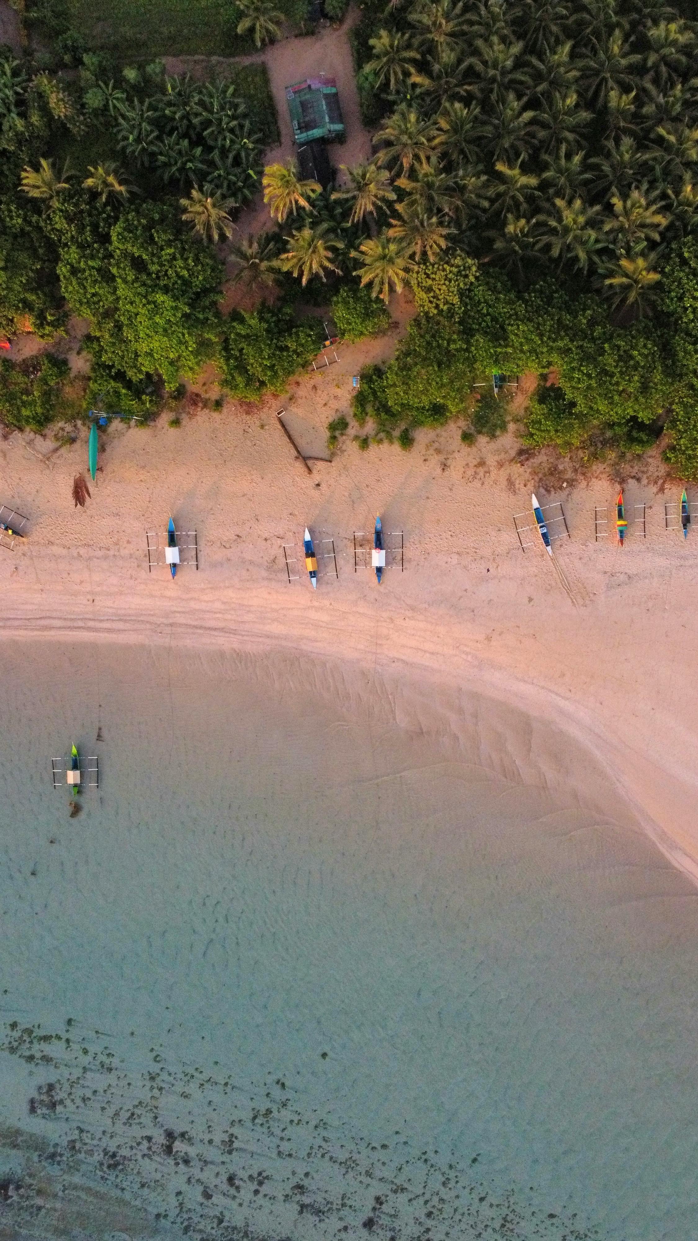Traditional Catamarans on Beach · Free Stock Photo