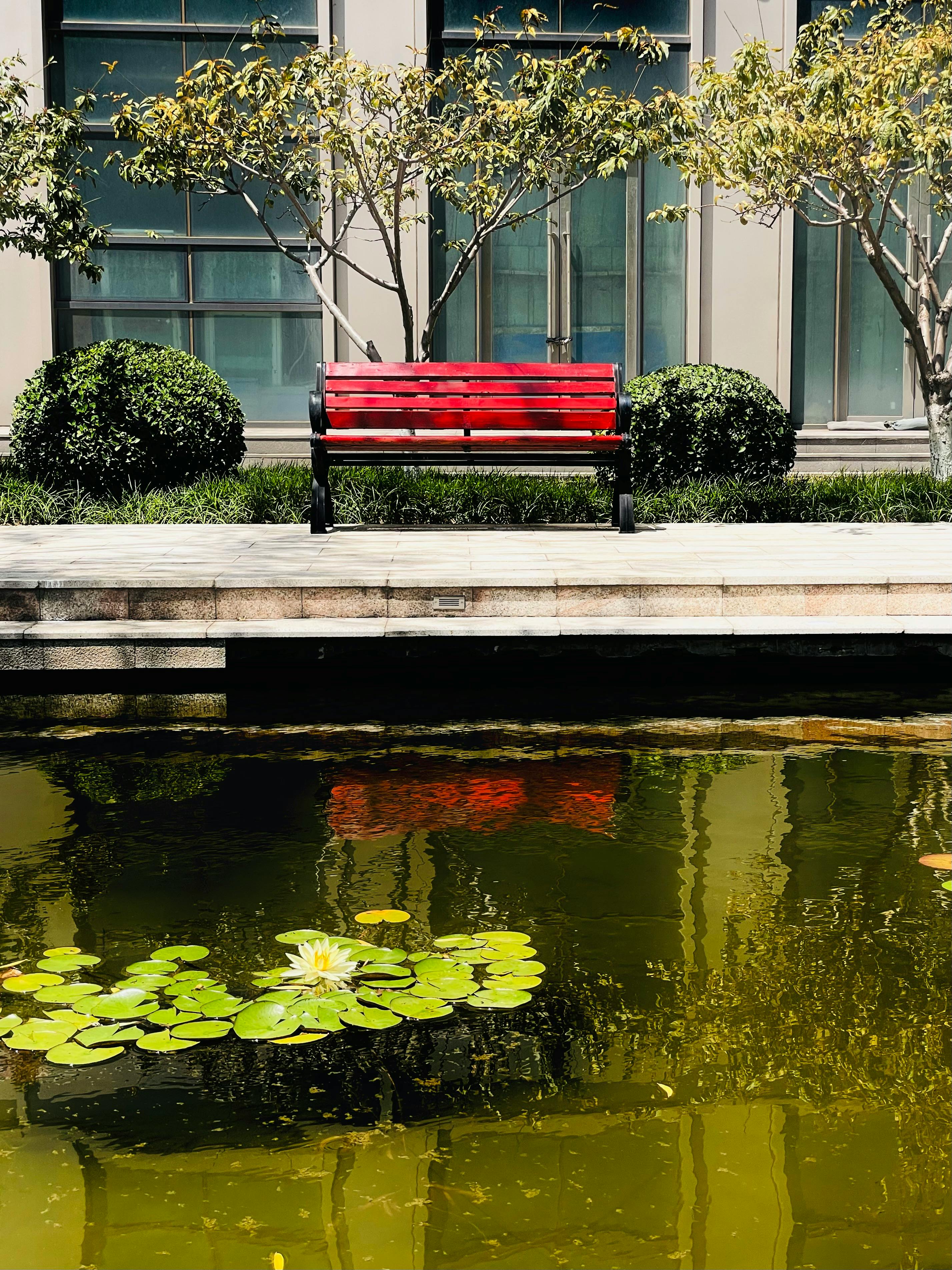 Bench near Water Pond in Town · Free Stock Photo