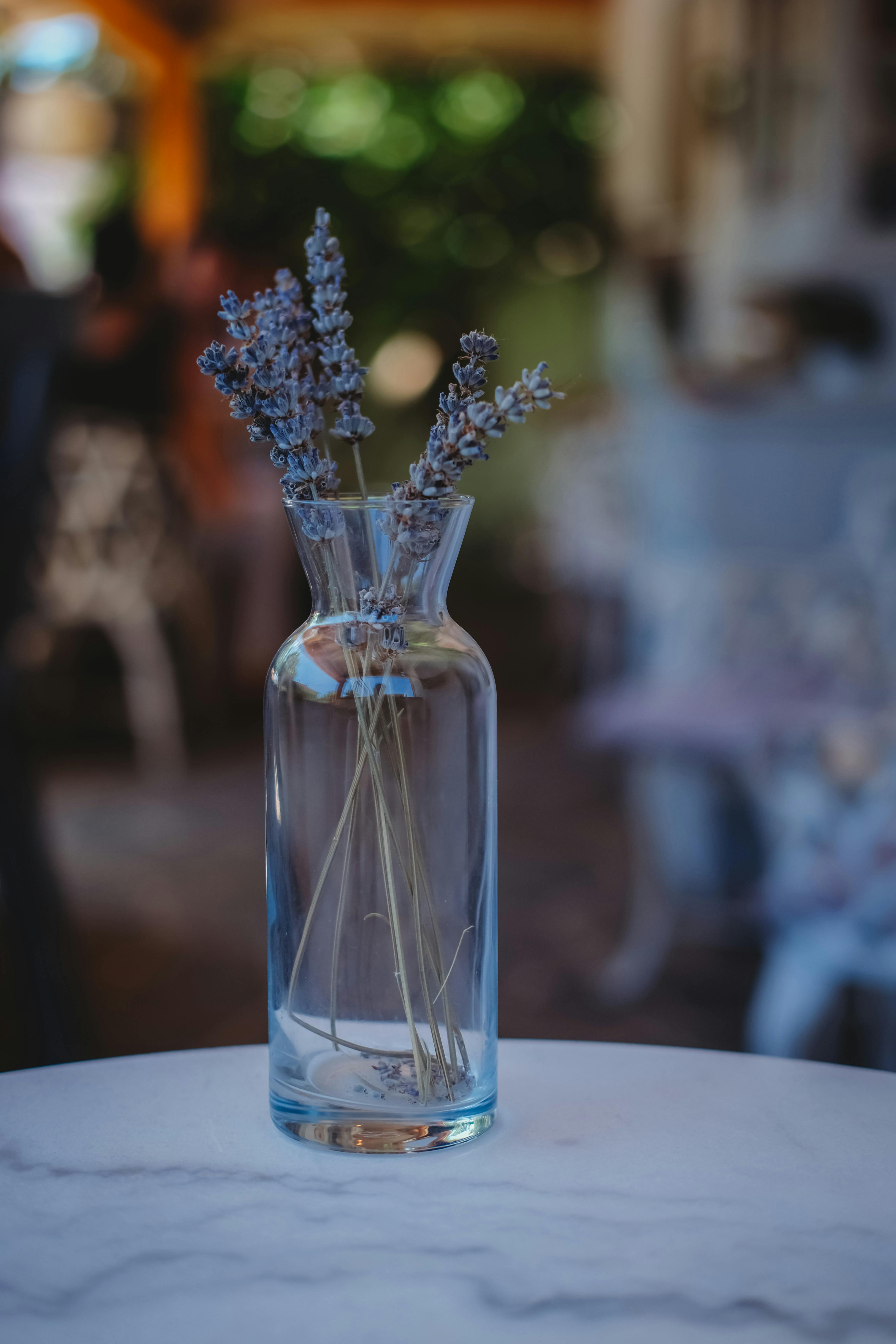Lavender Flowers in a Glass Vase · Free Stock Photo