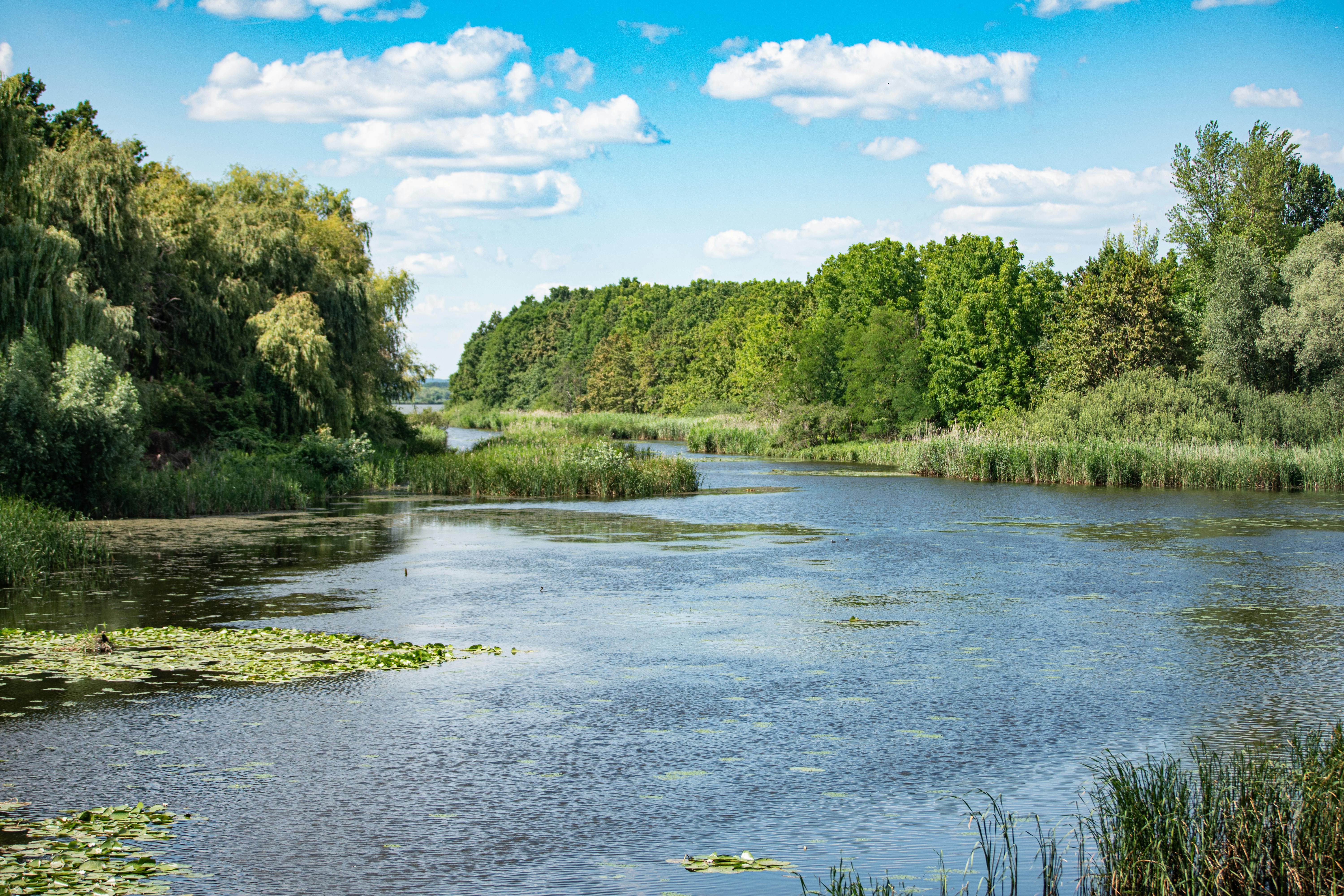 View of a River · Free Stock Photo