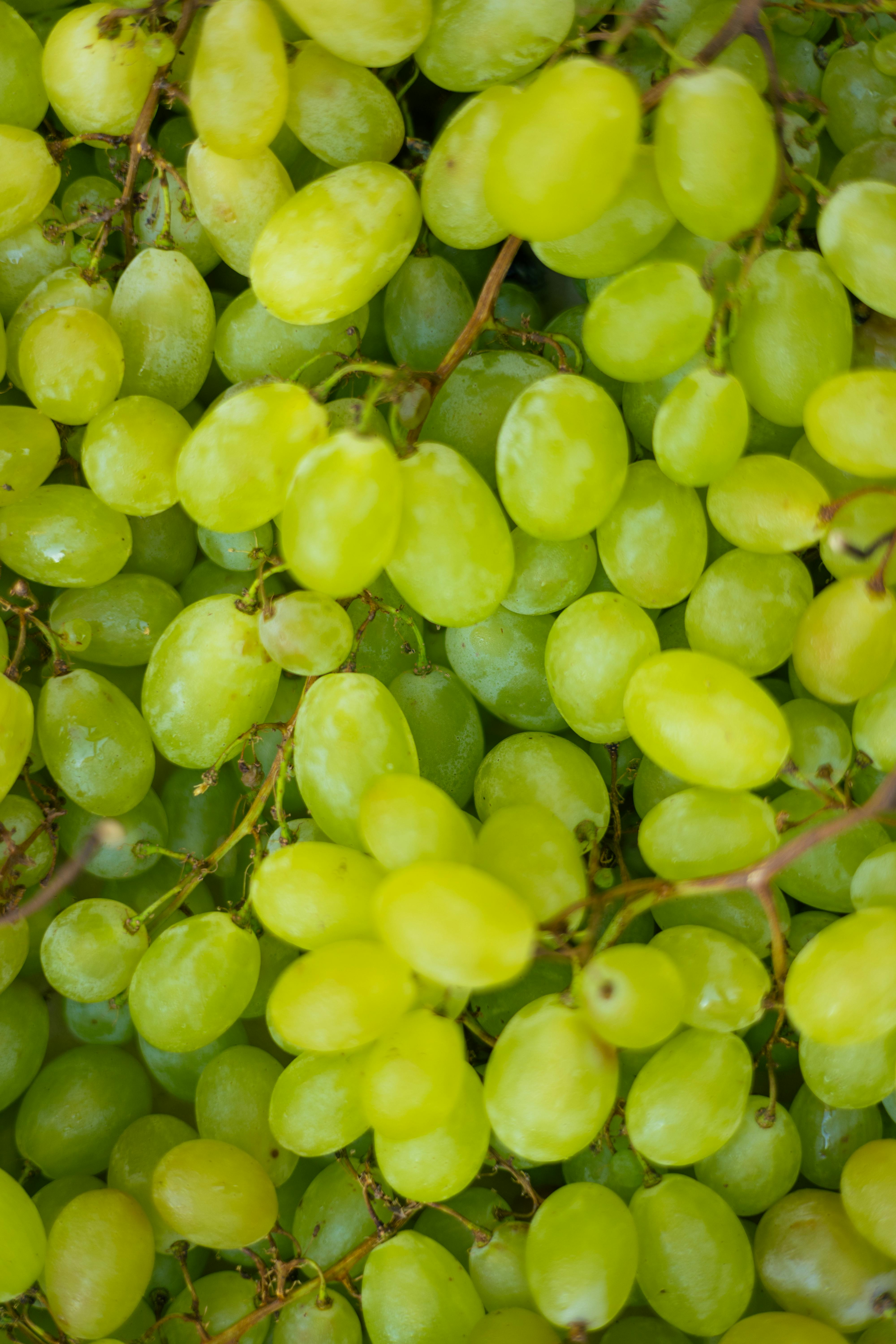 Pile of Grapes · Free Stock Photo
