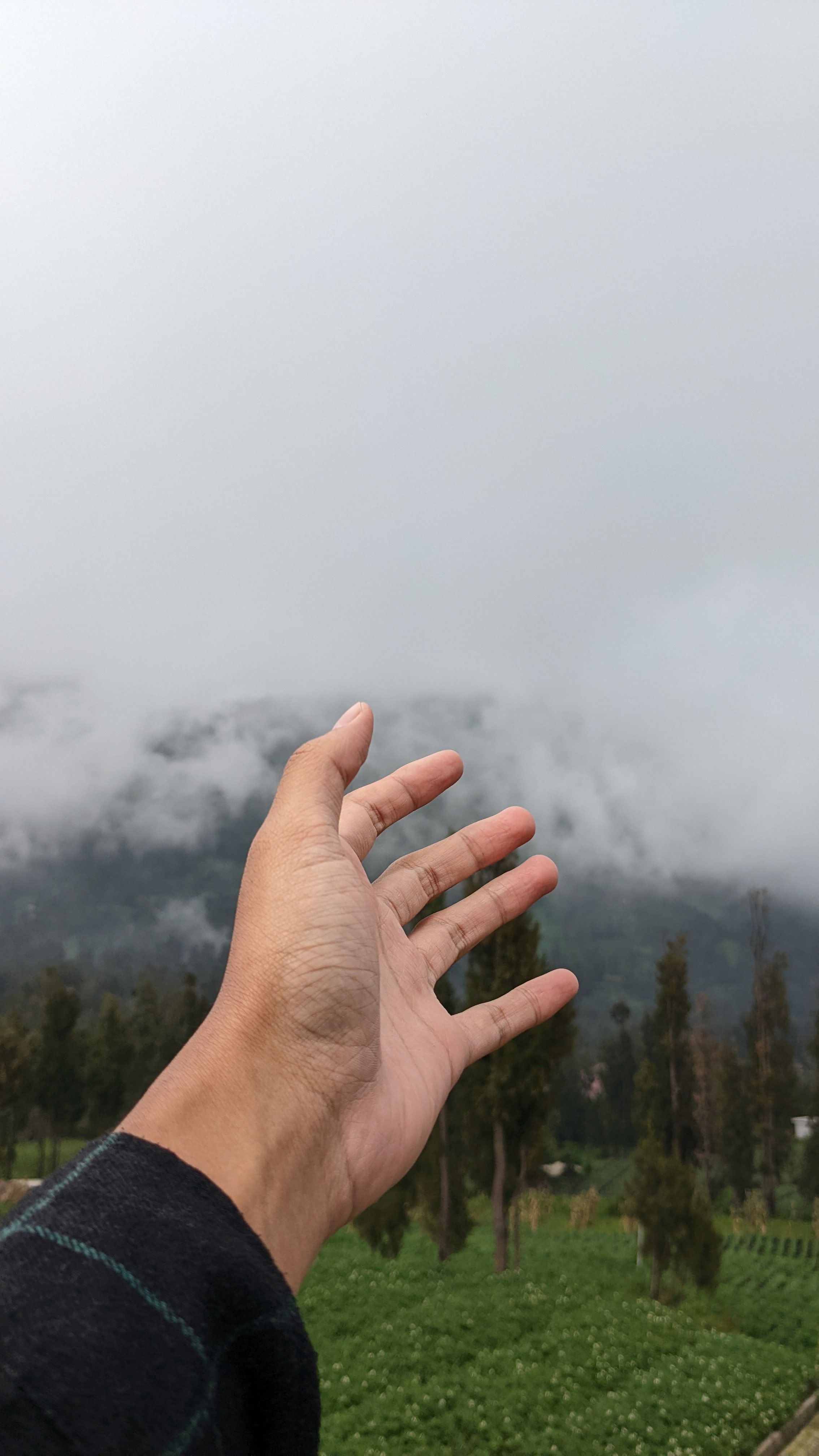 Hand Reaching out toward the Mountain · Free Stock Photo