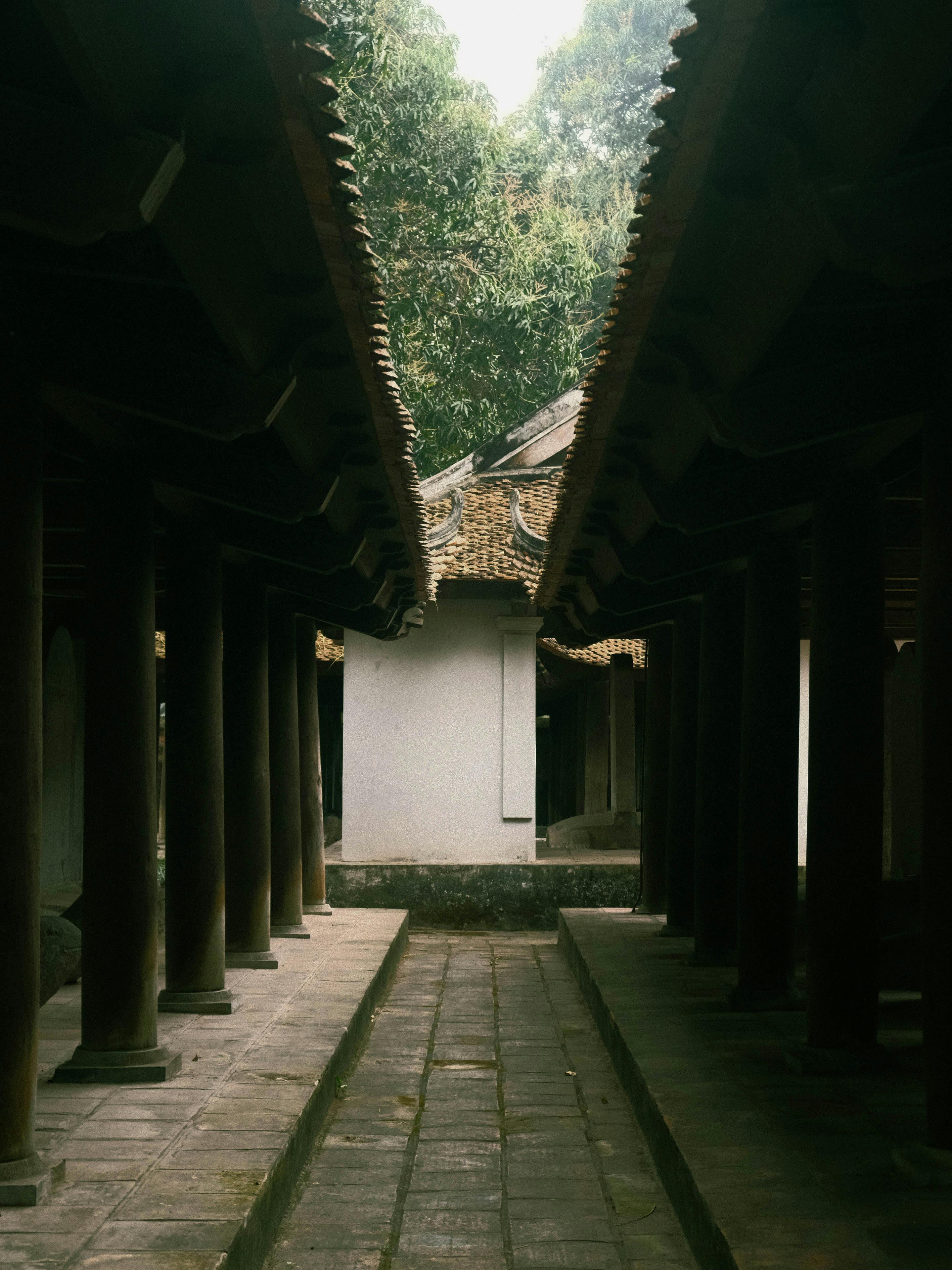 Asian Far Photos, Download The BEST Free Asian Far Stock Photos & HD Images