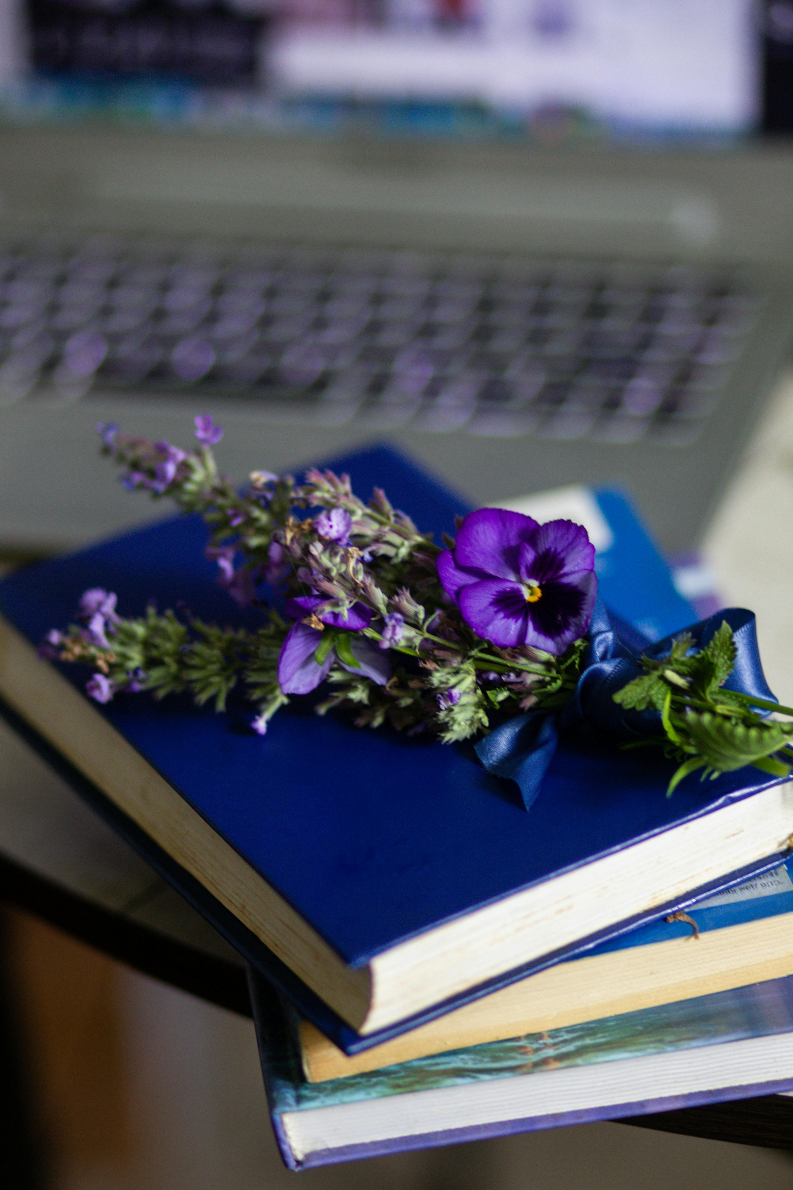 Purple, Books Photos, Download The BEST Free Purple, Books Stock Photos ...