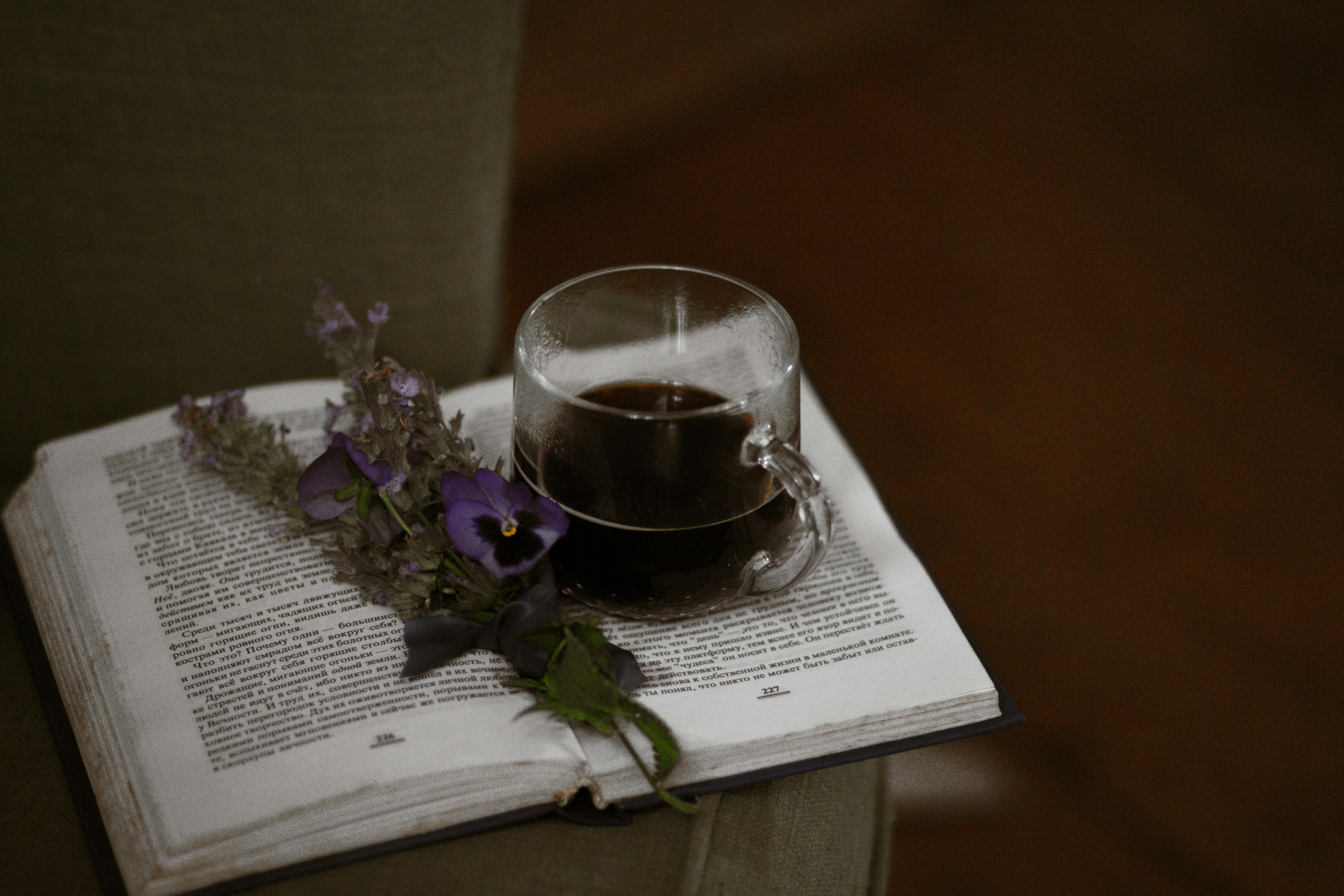 High Resolution Flowers Photos, Download The BEST Free High Resolution ...